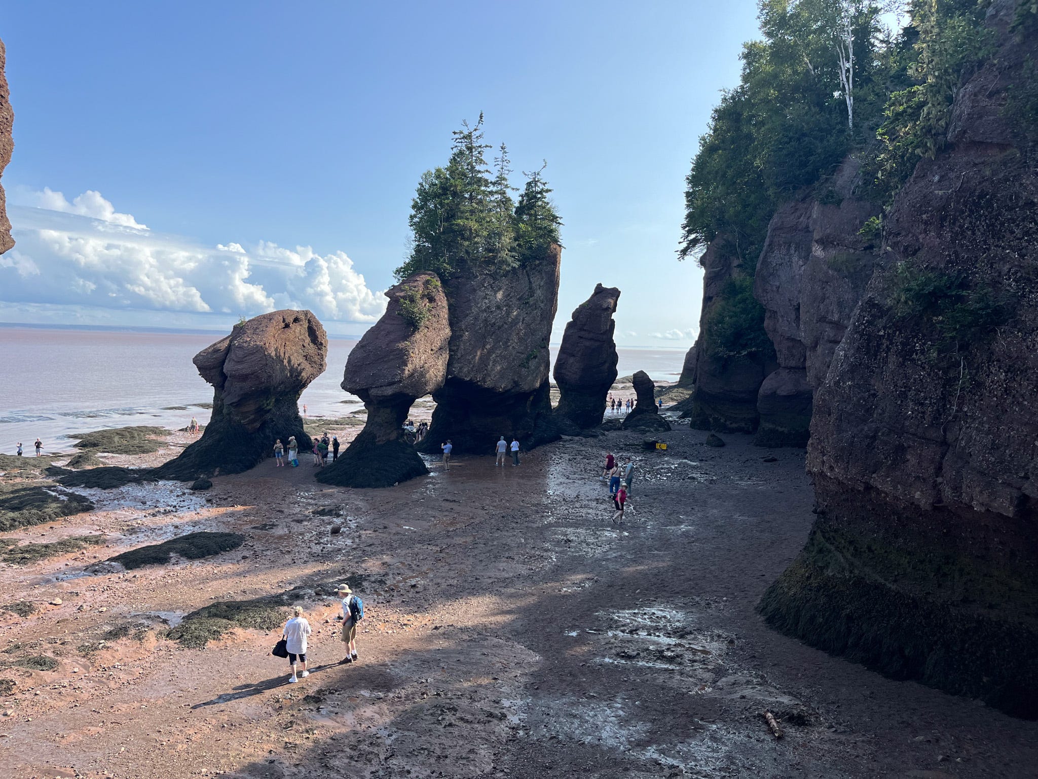 Bay of Fundy Wallpapers - Top Free Bay of Fundy Backgrounds ...