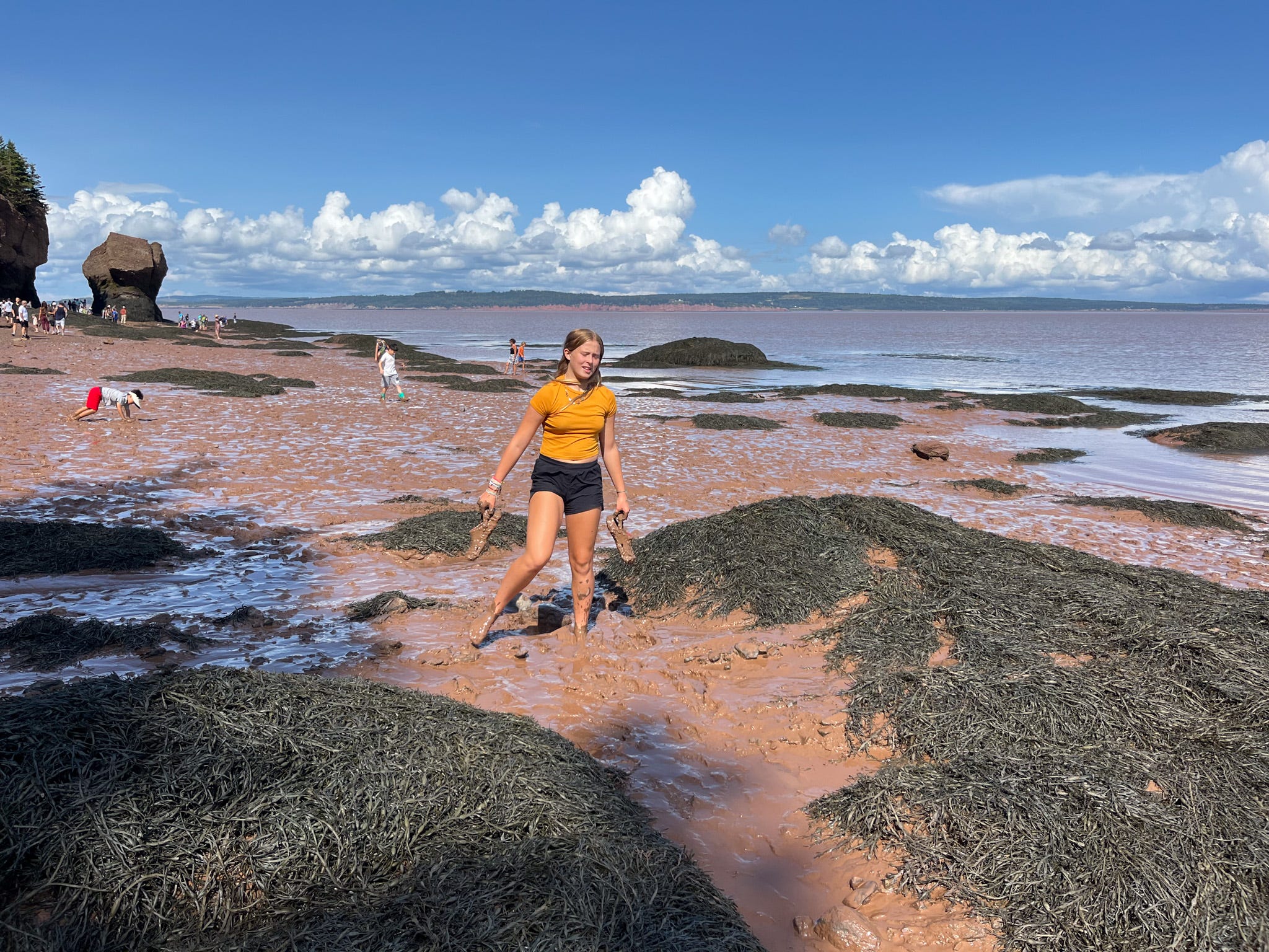 Bay of Fundy Wallpapers - Top Free Bay of Fundy Backgrounds ...