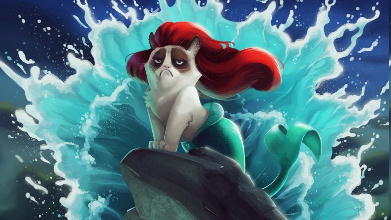 Grumpy Cat Wallpapers - Top Free Grumpy Cat Backgrounds - WallpaperAccess