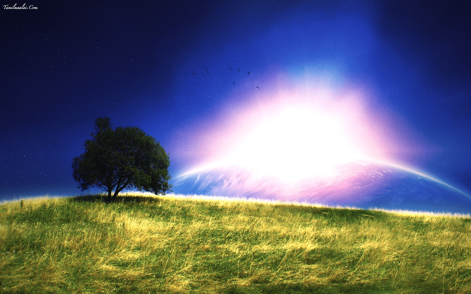 Multimedia Wallpapers - Top Free Multimedia Backgrounds - WallpaperAccess