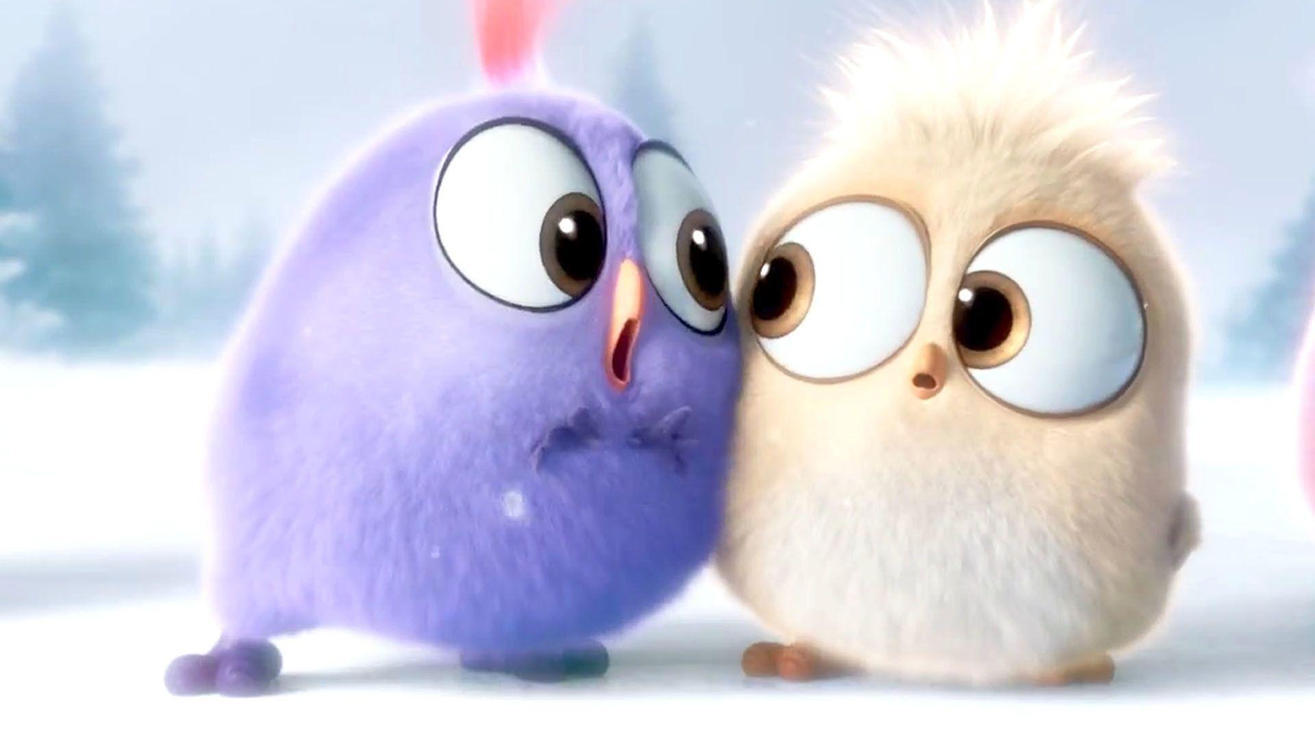 Hatchlings Wallpapers - Top Free Hatchlings Backgrounds - WallpaperAccess