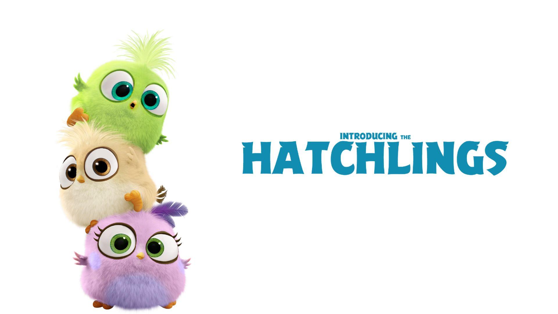 Hatchlings Wallpapers - Top Free Hatchlings Backgrounds - WallpaperAccess