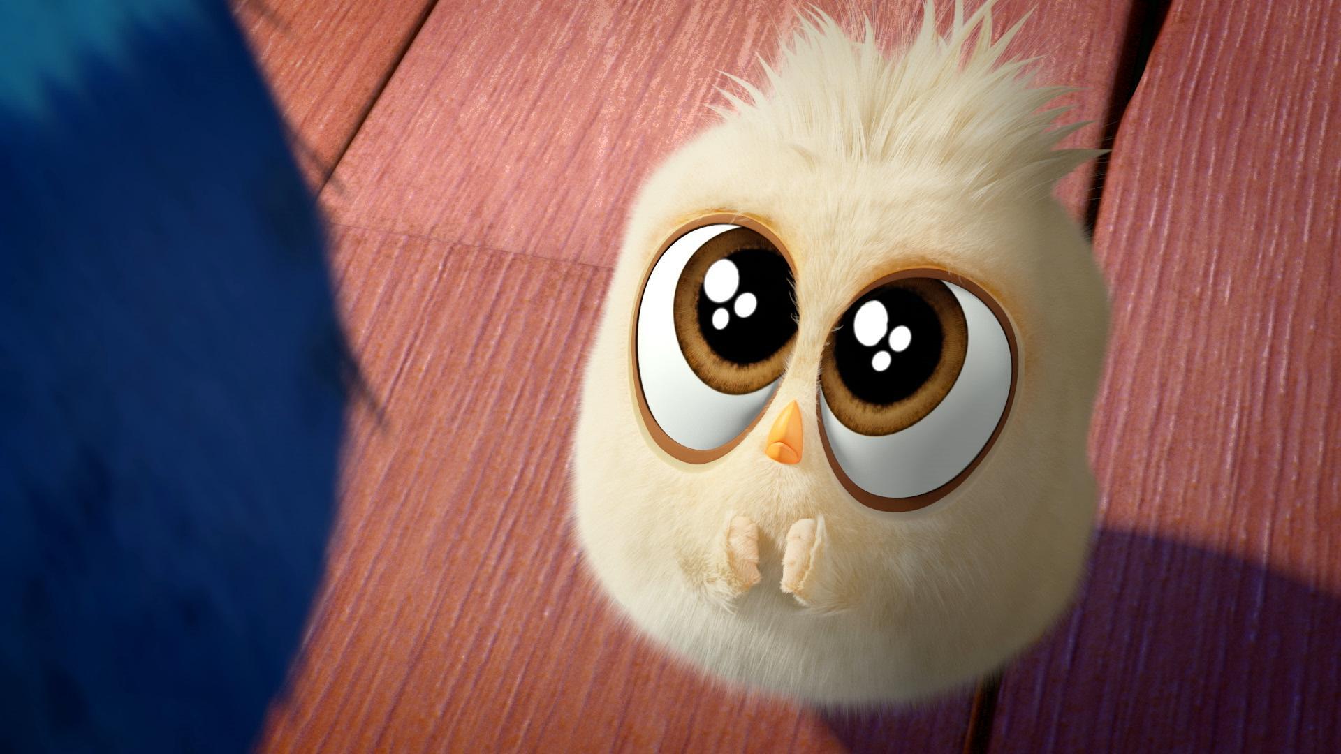 Hatchlings Wallpapers - Top Free Hatchlings Backgrounds - WallpaperAccess