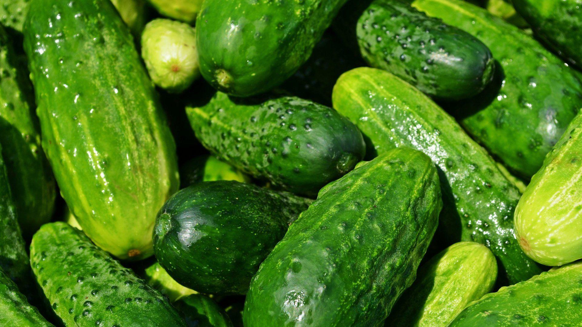 Cucumber Wallpapers - Top Free Cucumber Backgrounds - WallpaperAccess
