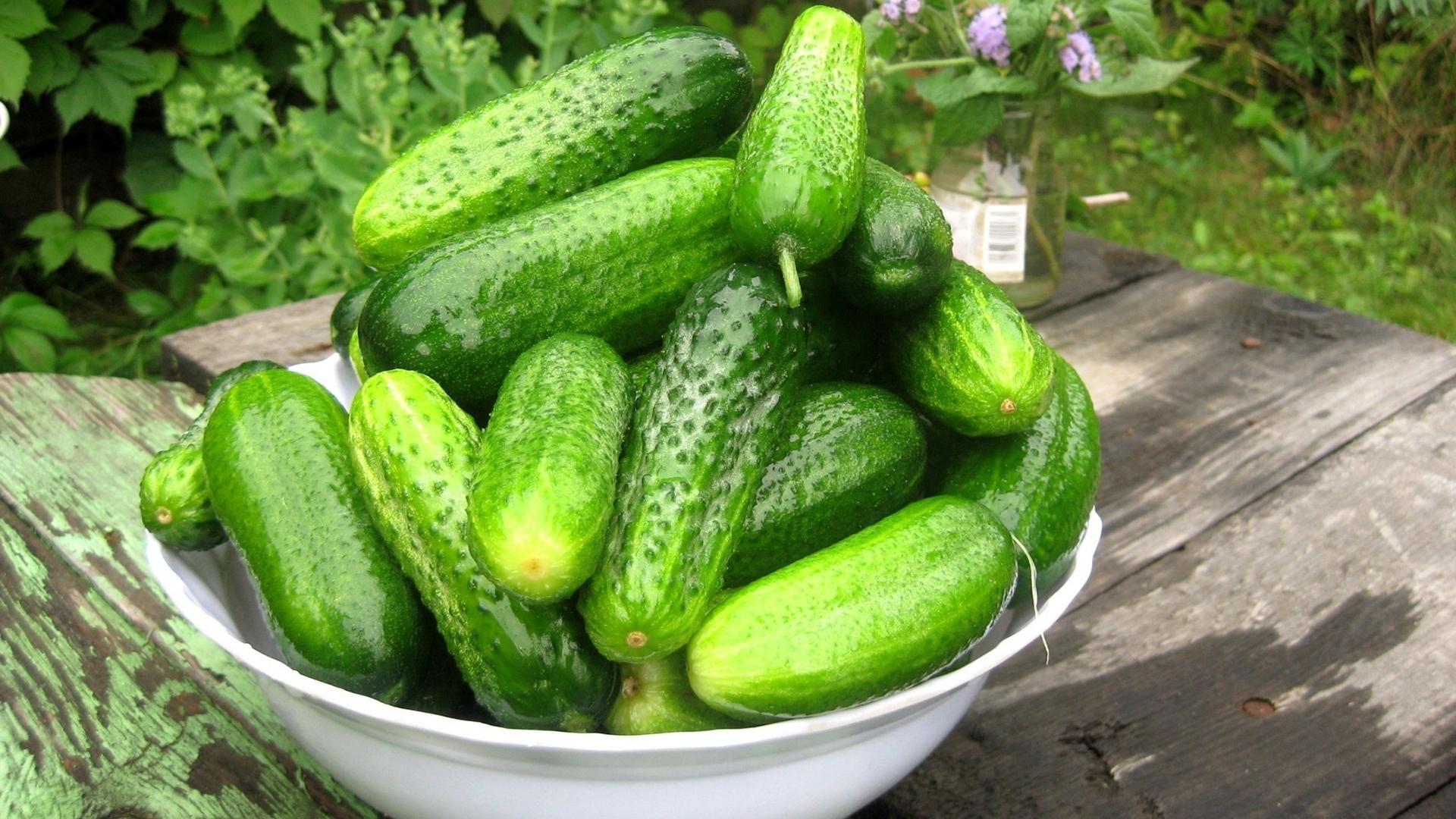 Cucumber Wallpapers - Top Free Cucumber Backgrounds - WallpaperAccess