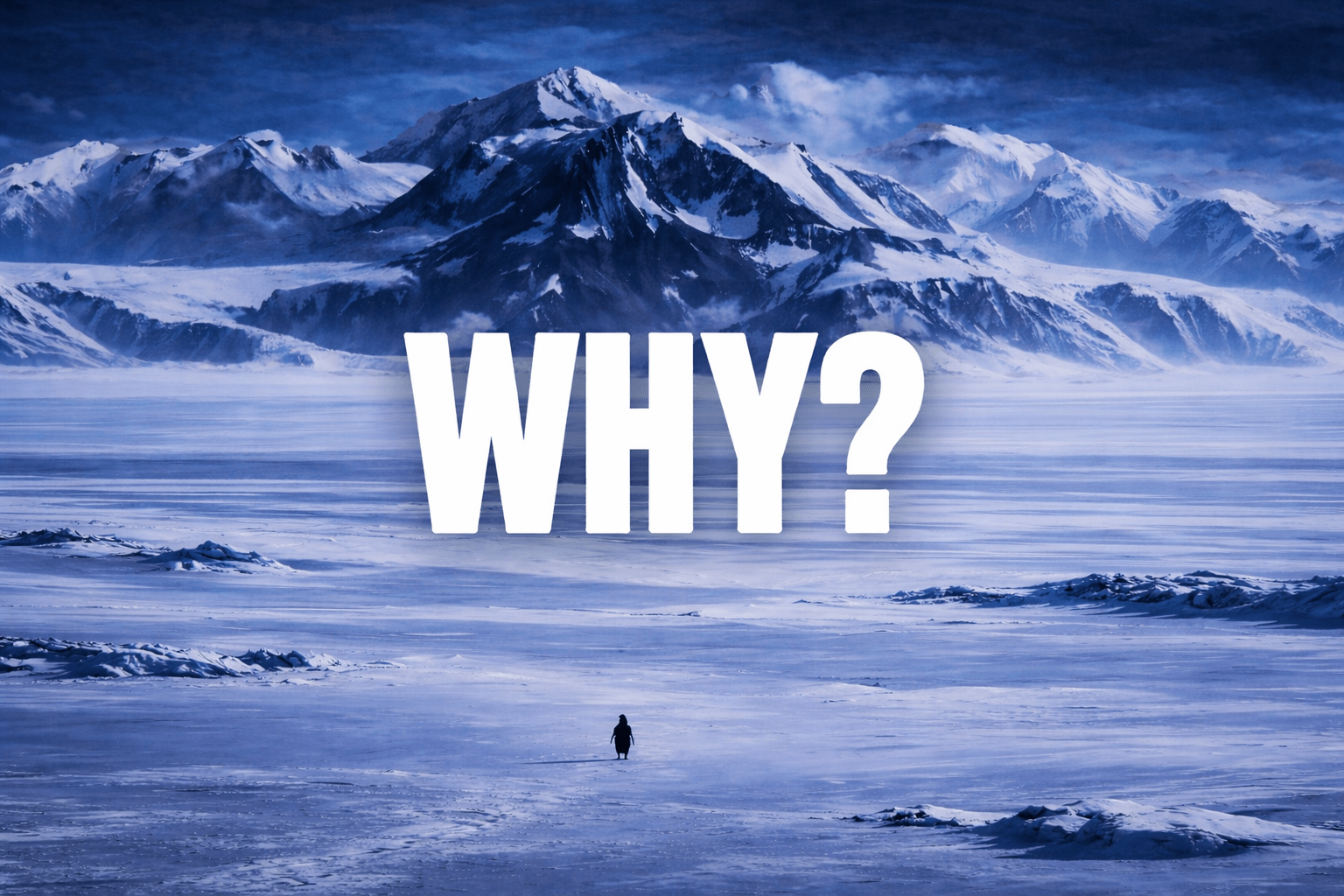Nihilist Penguin Wallpapers - Top Free Nihilist Penguin Backgrounds ...