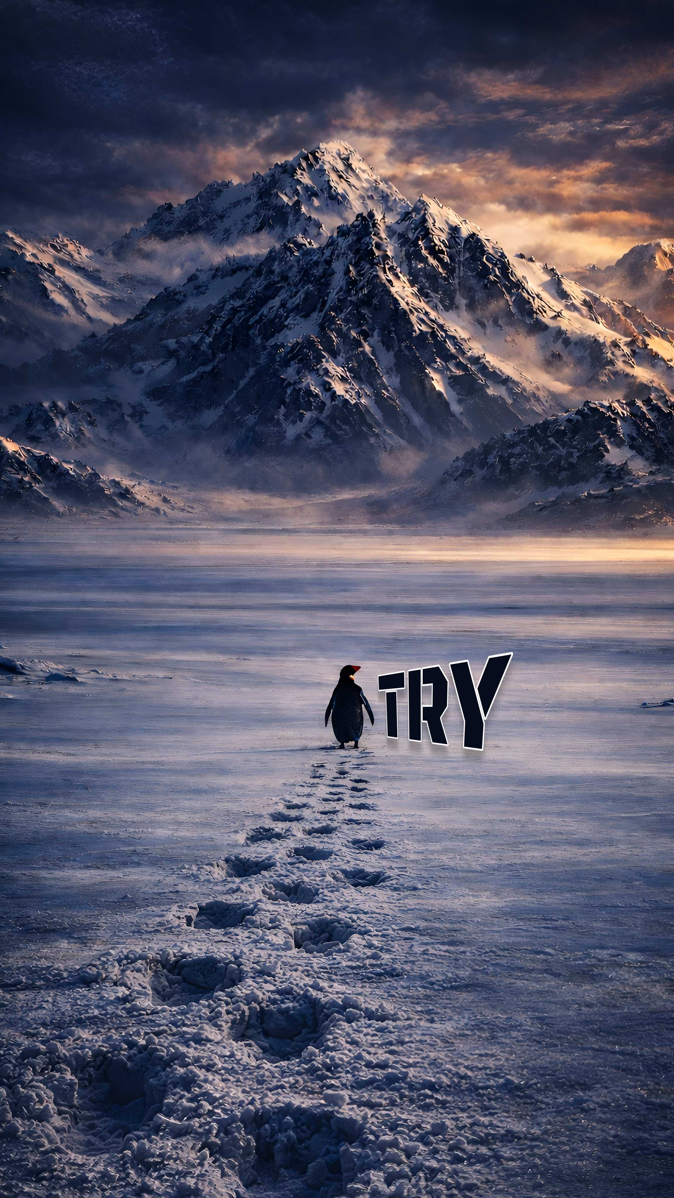 Nihilist Penguin Wallpapers - Top Free Nihilist Penguin Backgrounds ...