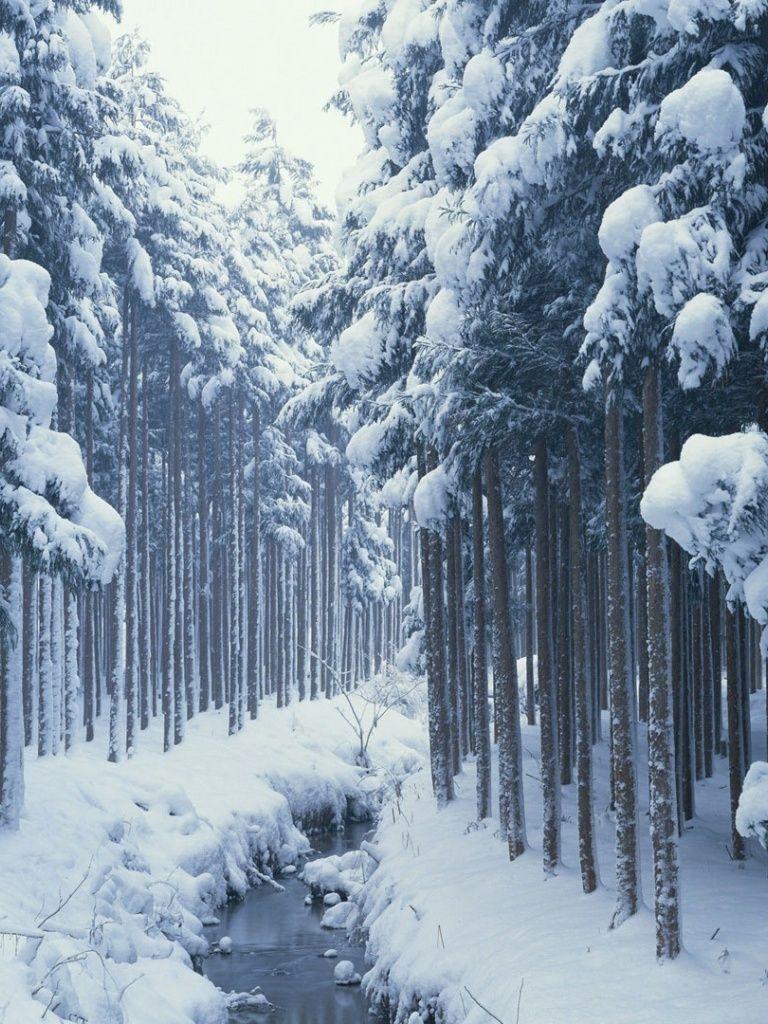 Snow iPad Wallpapers - Top Free Snow iPad Backgrounds - WallpaperAccess