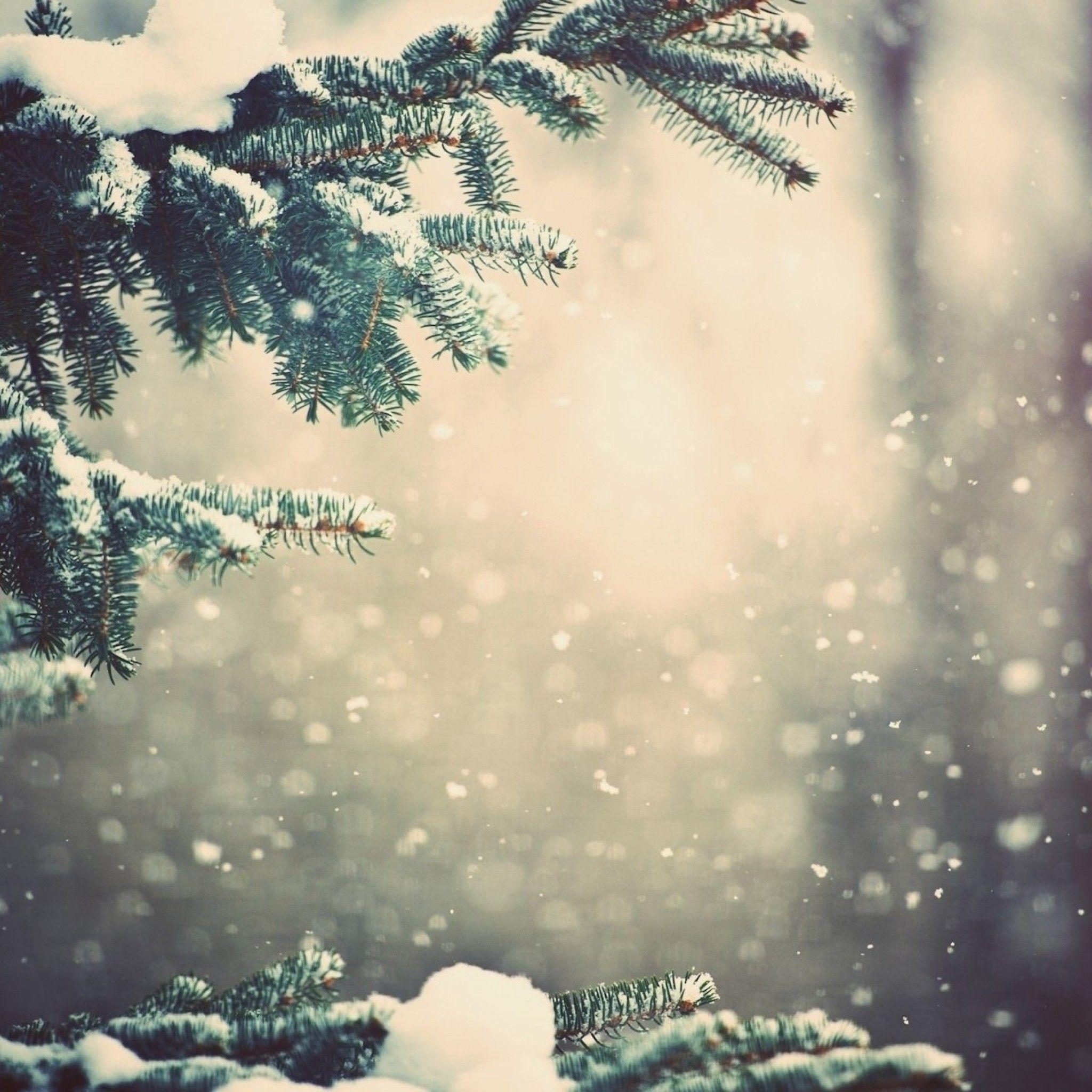 Snow iPad Wallpapers - Top Free Snow iPad Backgrounds - WallpaperAccess