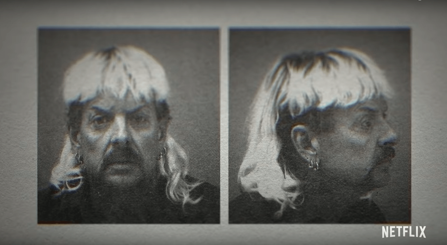 Tiger King Wallpapers - Top Free Tiger King Backgrounds - WallpaperAccess