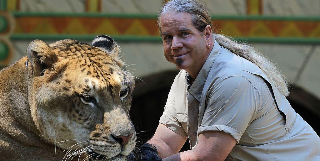 Tiger King Wallpapers - Top Free Tiger King Backgrounds - WallpaperAccess