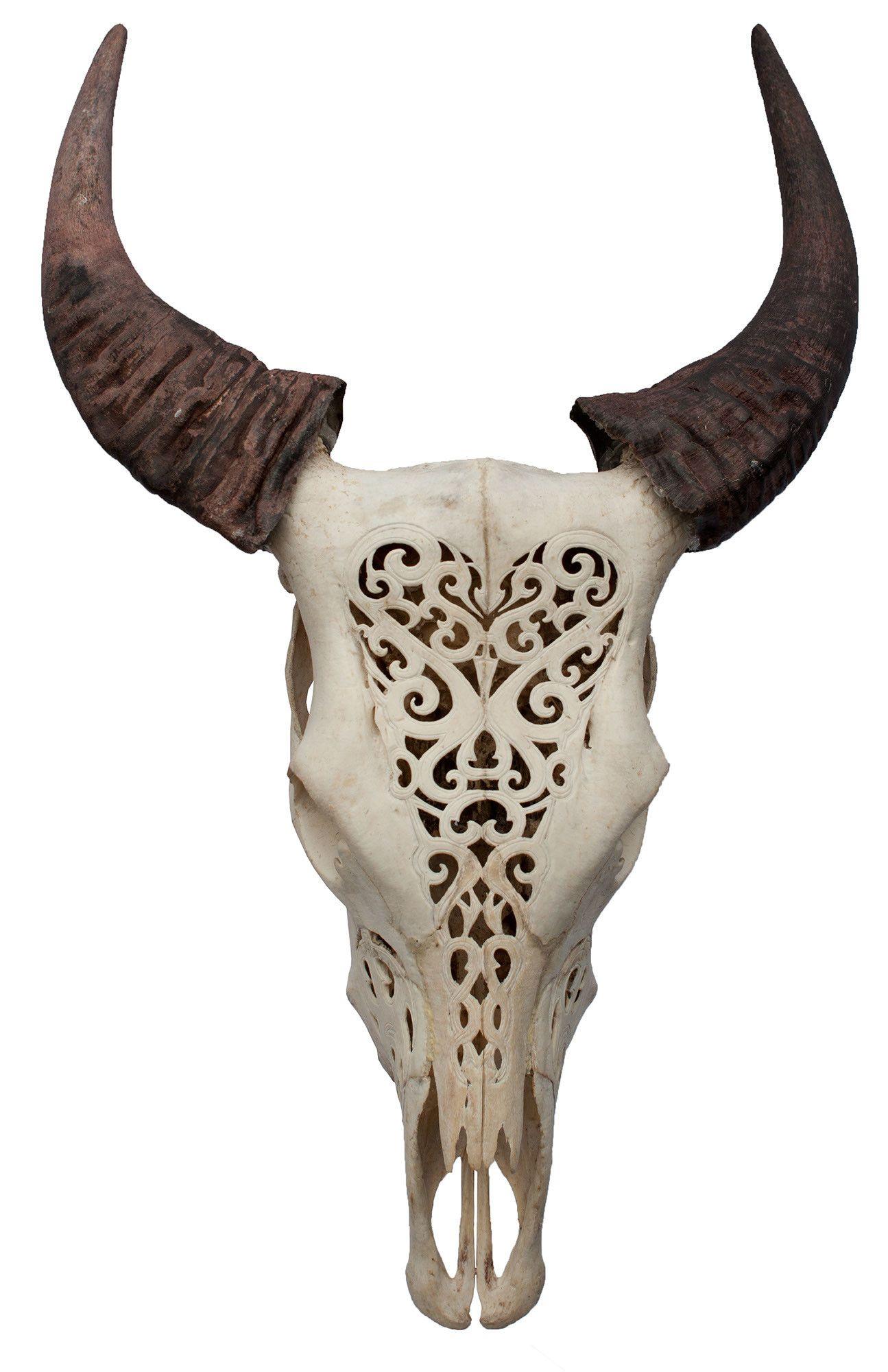 Animal Skull Wallpapers - Top Free Animal Skull Backgrounds ...