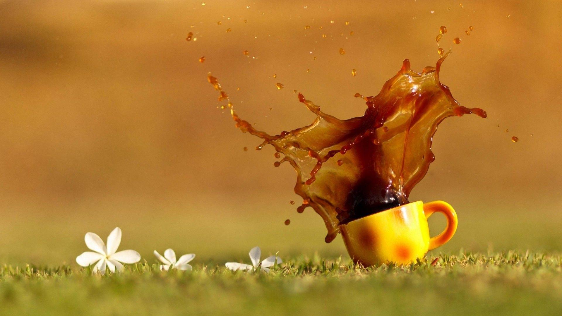 Gross Wallpapers - Top Free Gross Backgrounds - WallpaperAccess