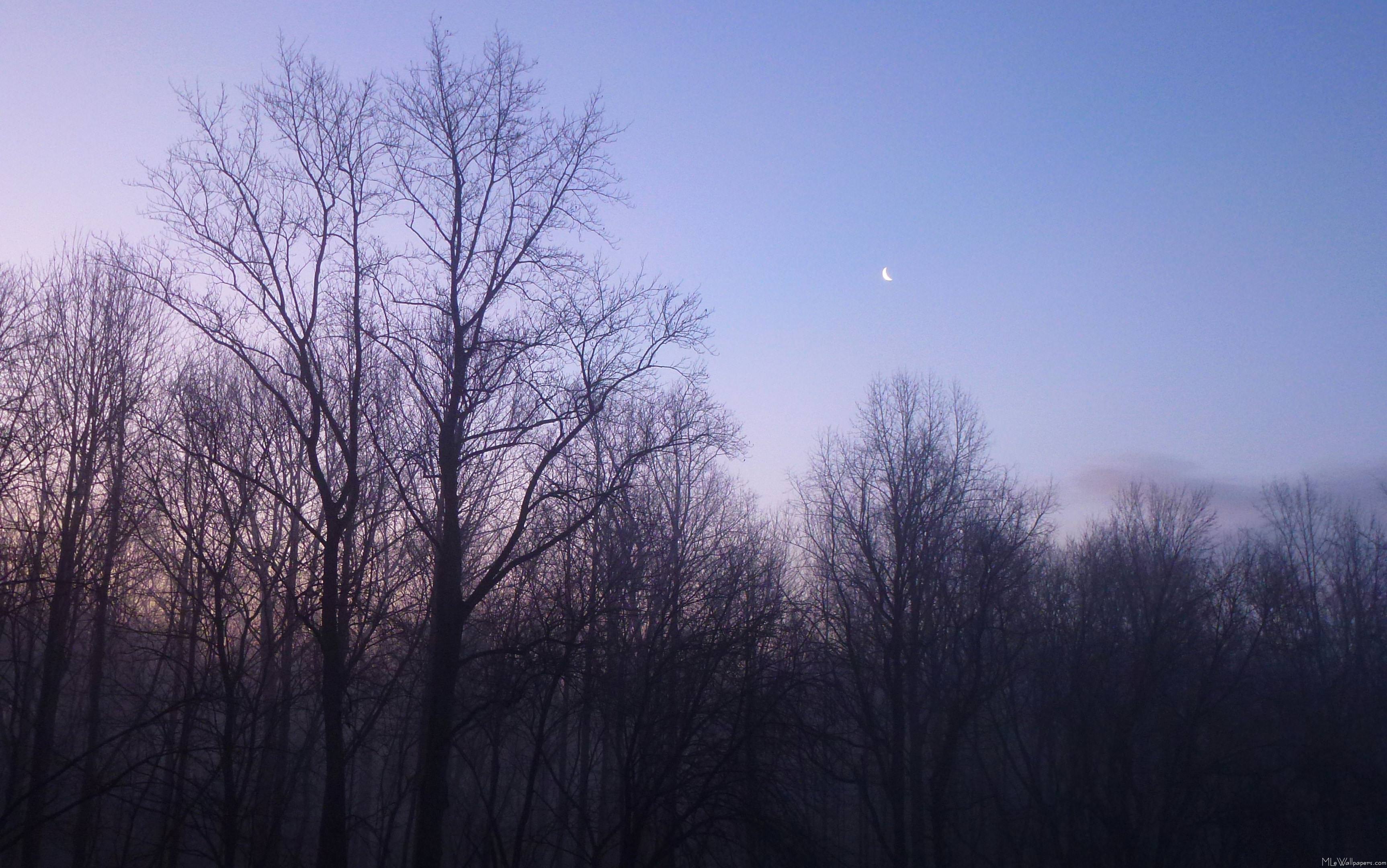 Winter Moon Wallpapers - Top Free Winter Moon Backgrounds - WallpaperAccess