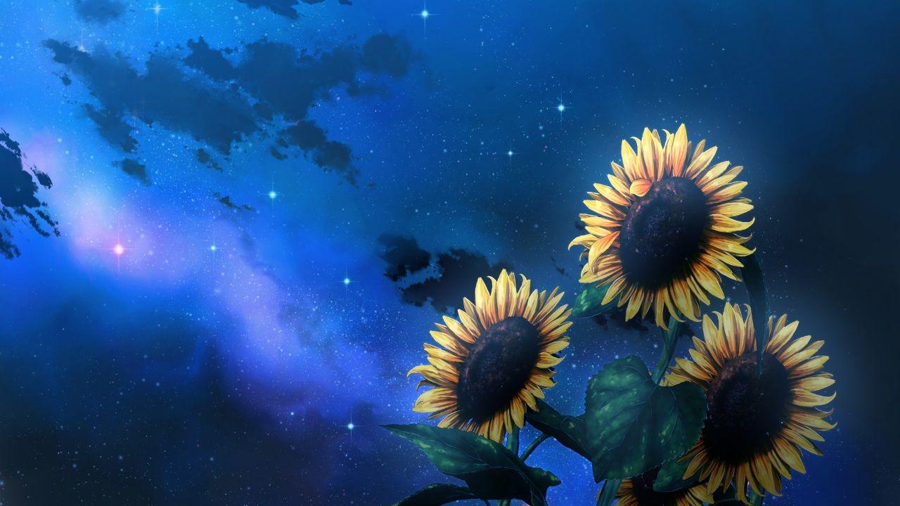 Night Sunflower Wallpapers - Top Free Night Sunflower Backgrounds ...