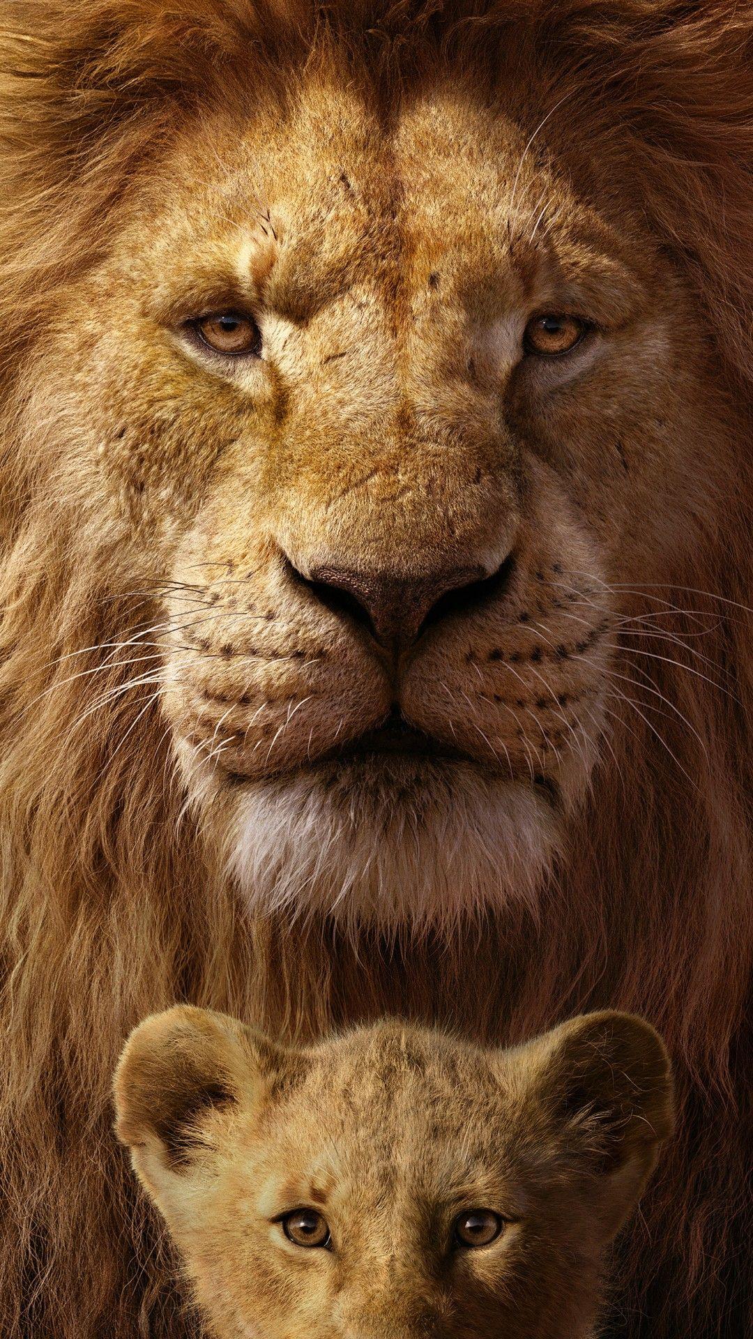 Lion HD Phone Wallpapers - Top Free Lion HD Phone Backgrounds ...