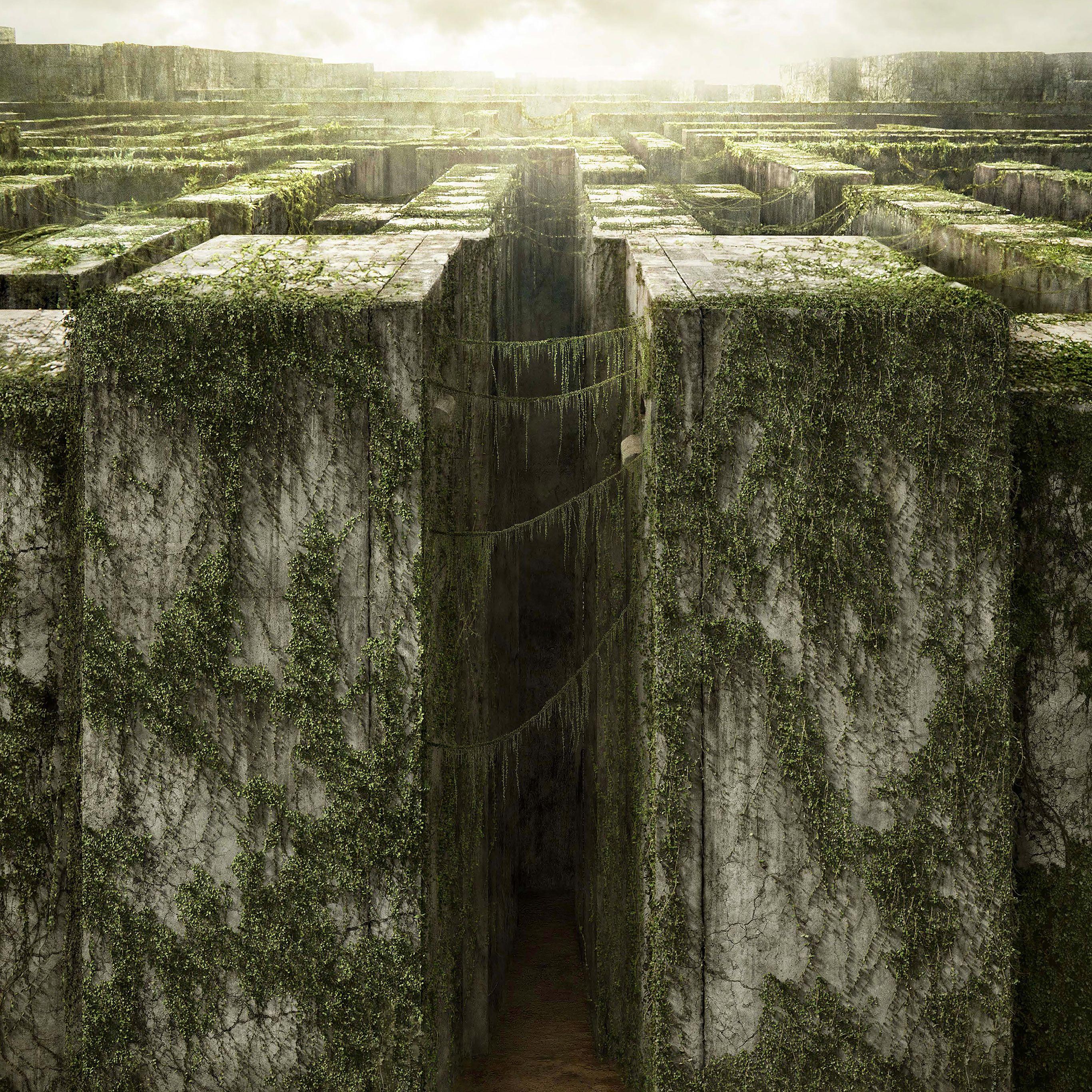 The Maze Runner Wallpapers - Top Free The Maze Runner Backgrounds ...