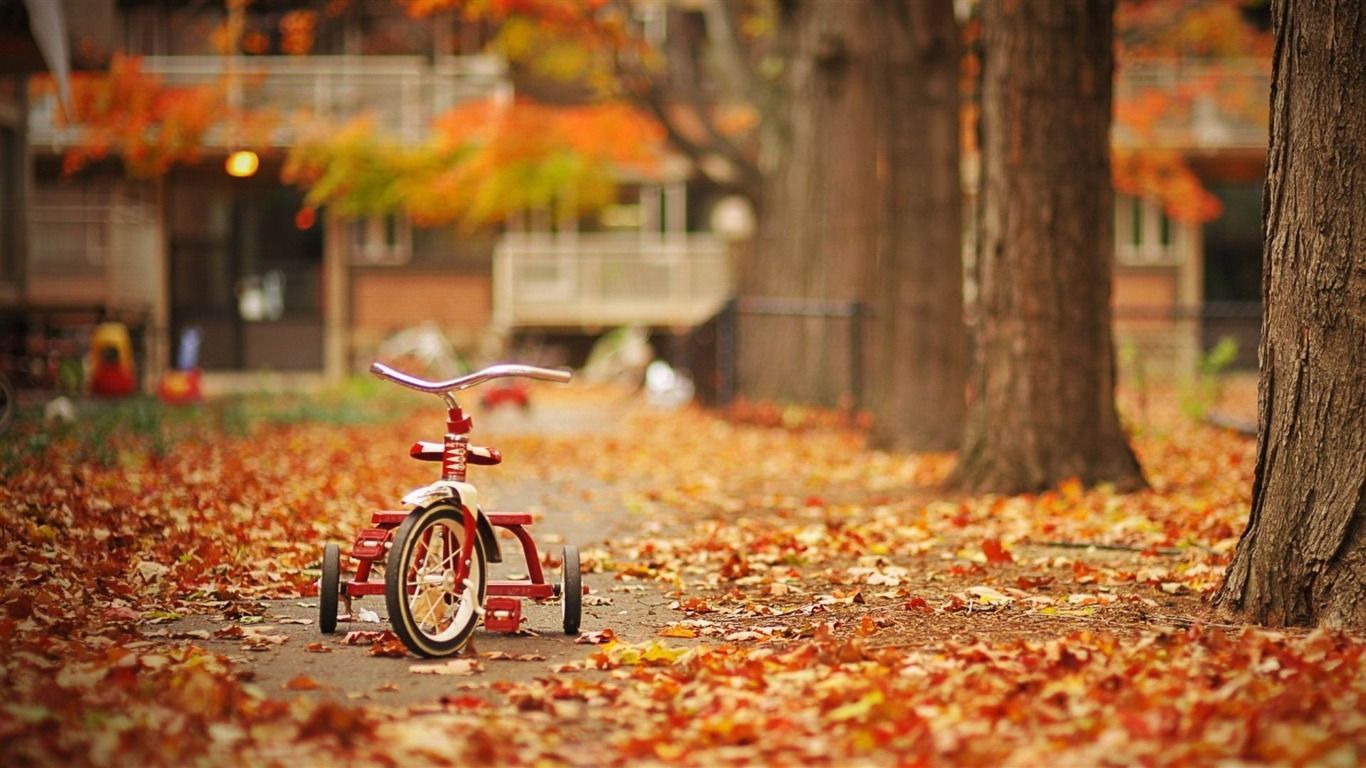 Tricycle Wallpapers - Top Free Tricycle Backgrounds - WallpaperAccess
