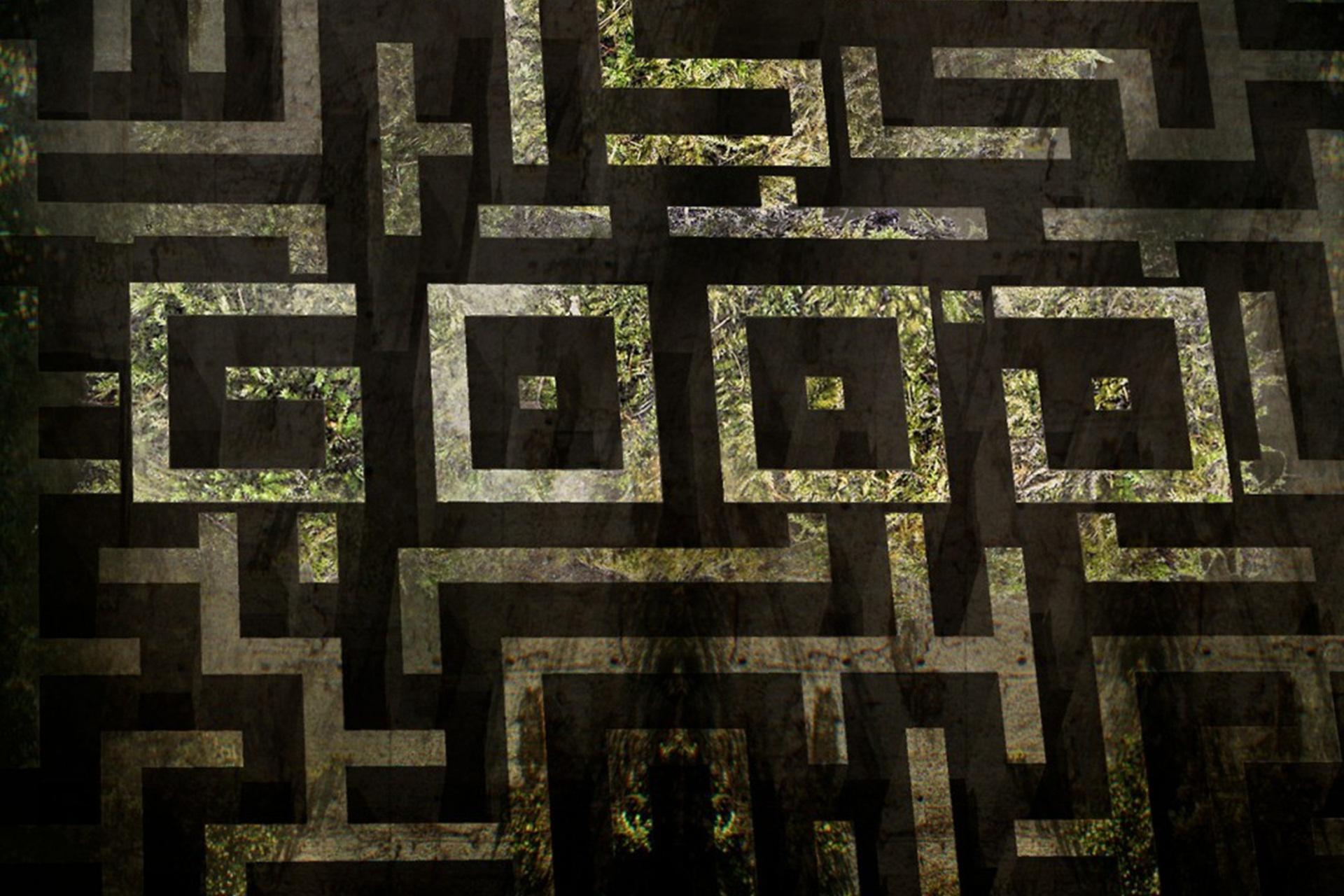 Maze Runner Desktop Wallpapers - Top Free Maze Runner Desktop ...