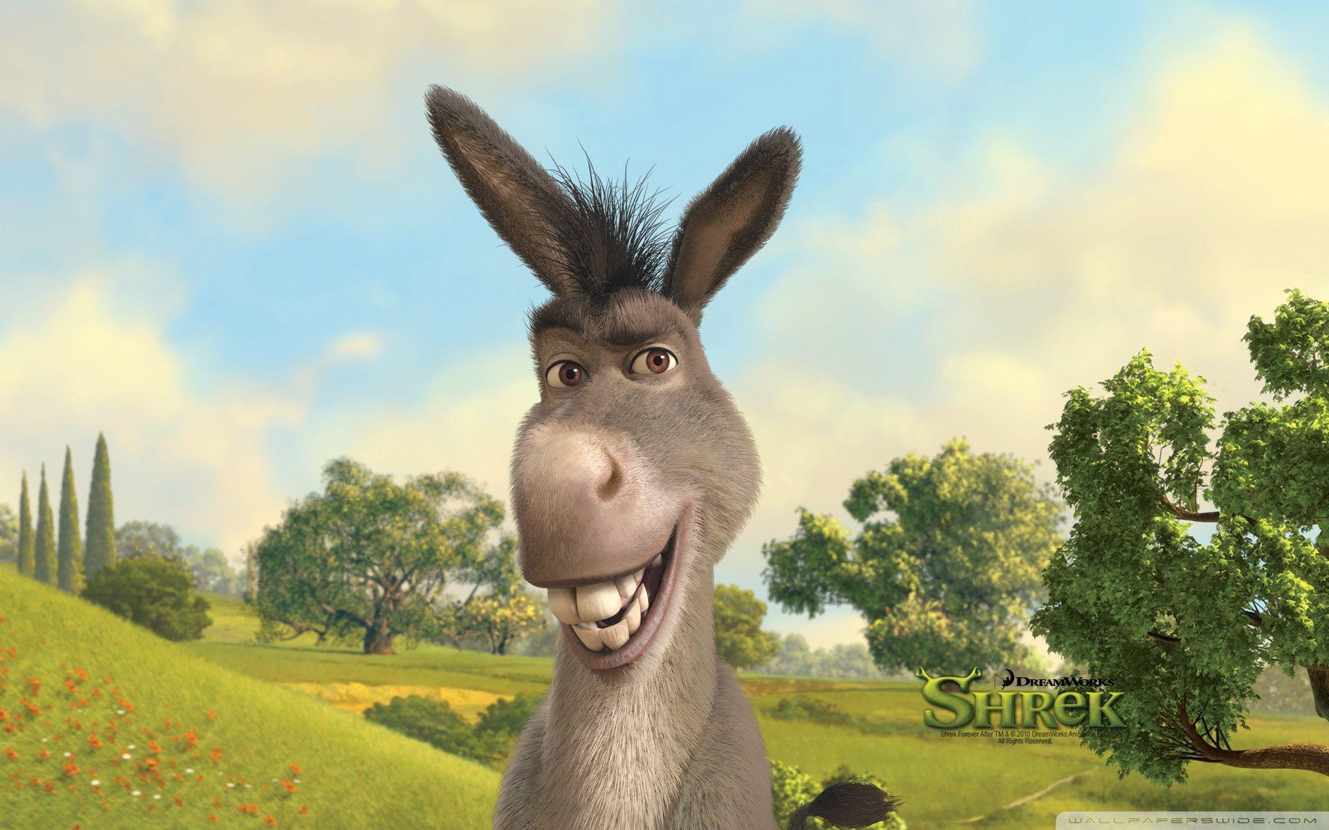 Donkey Wallpapers - Top Free Donkey Backgrounds - WallpaperAccess