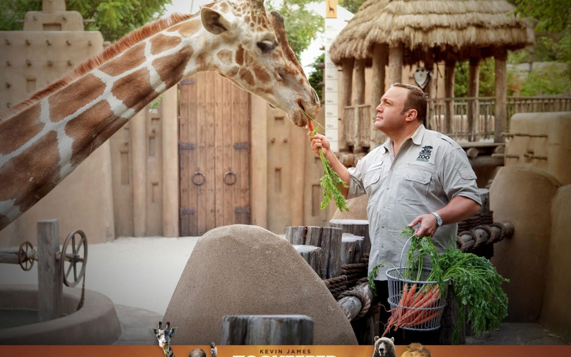 Kevin James Wallpapers - Top Free Kevin James Backgrounds - WallpaperAccess