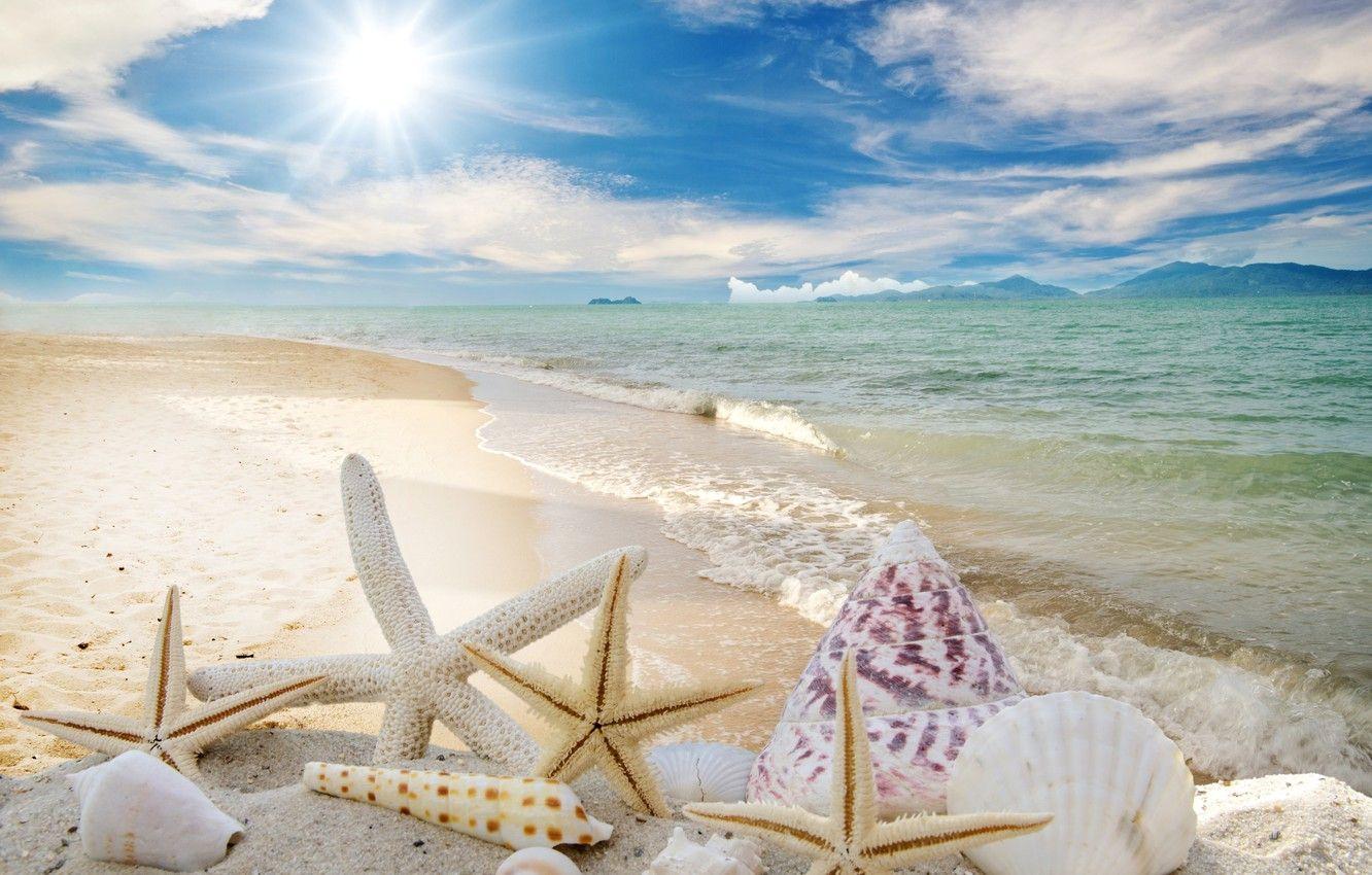 Beach Summer Sunshine Wallpapers - Top Free Beach Summer Sunshine ...