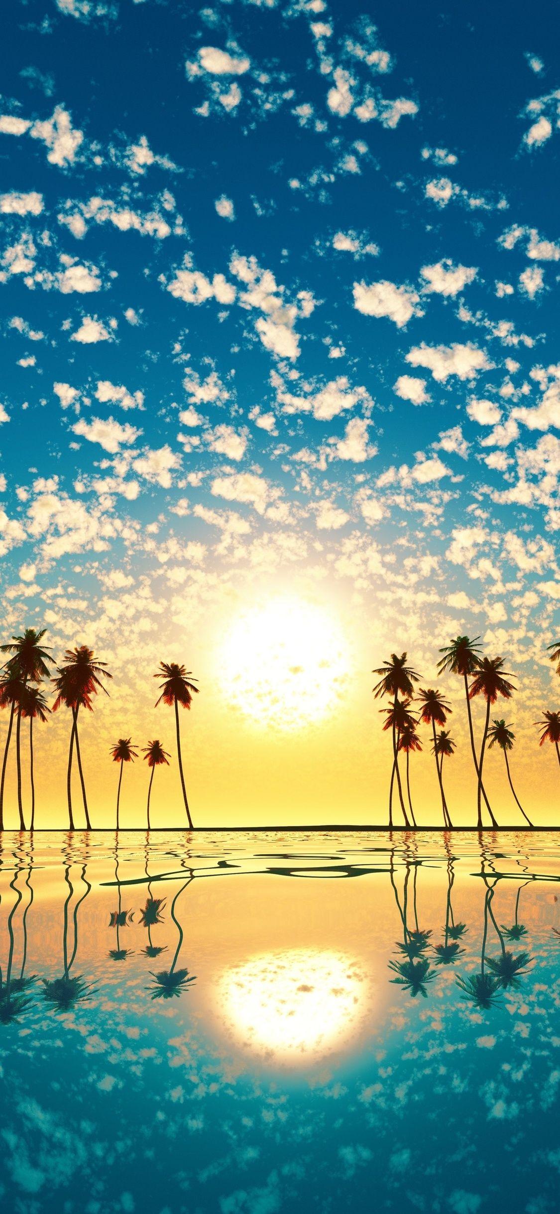 Florida Sunset iPhone Wallpapers - Top Free Florida Sunset iPhone ...