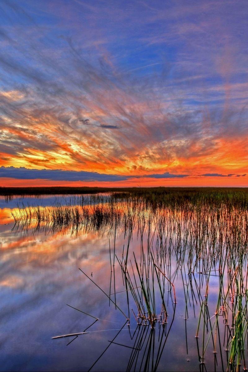 Florida Sunset iPhone Wallpapers - Top Free Florida Sunset iPhone ...