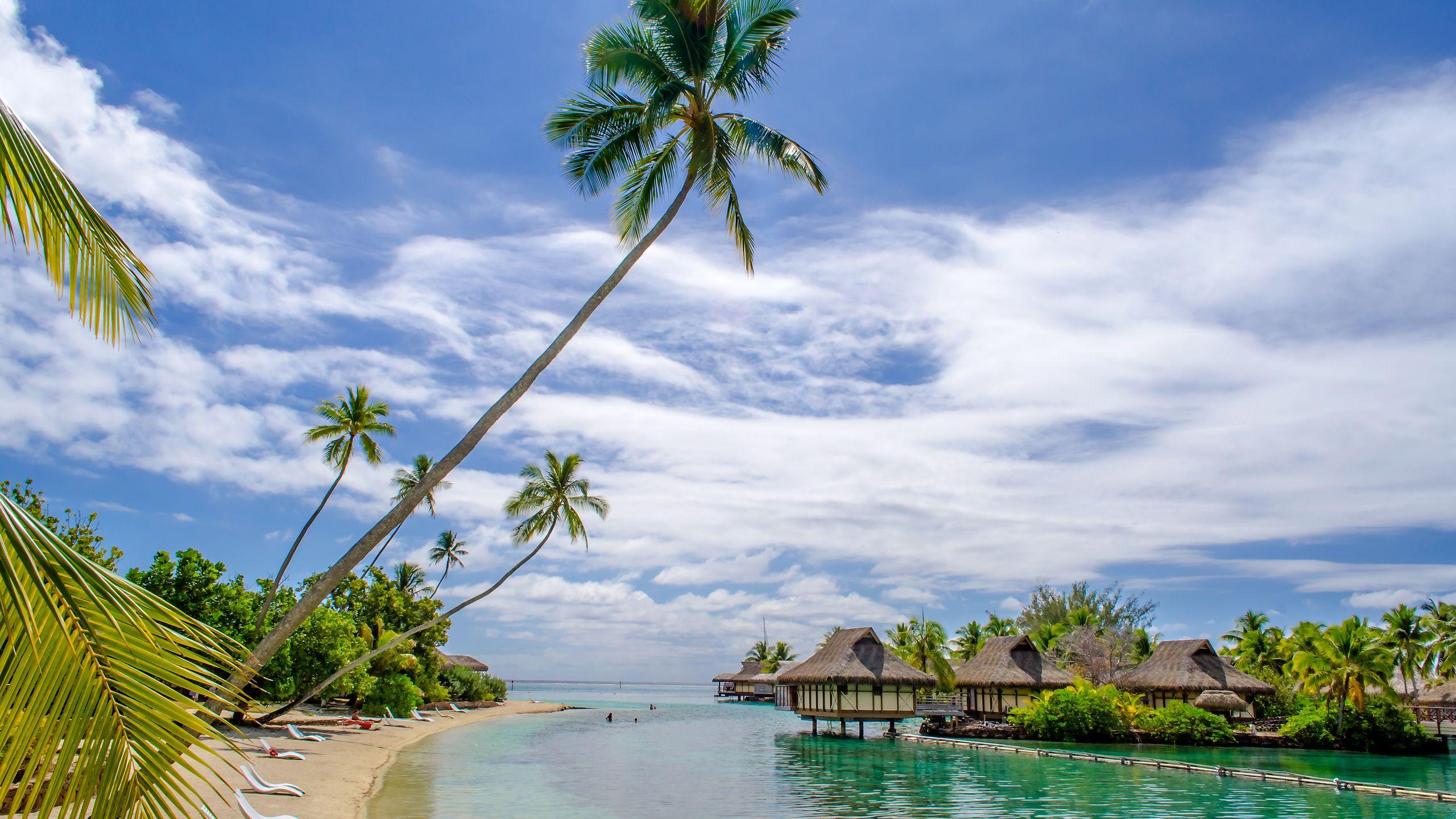 Beach Summer Sunshine Wallpapers - Top Free Beach Summer Sunshine Backgrounds - WallpaperAccess