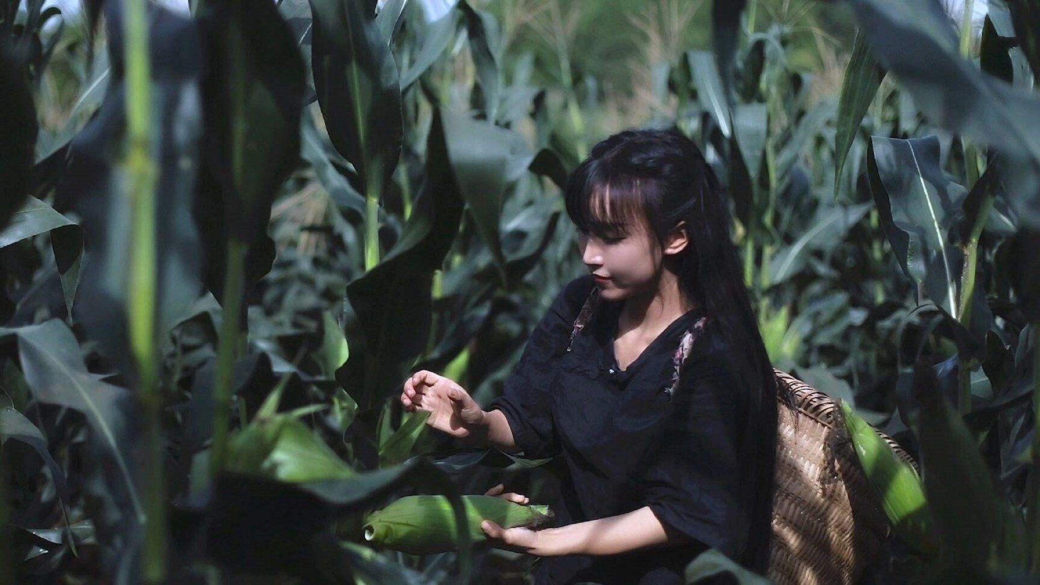 Li Ziqi Wallpapers - Top Free Li Ziqi Backgrounds - WallpaperAccess