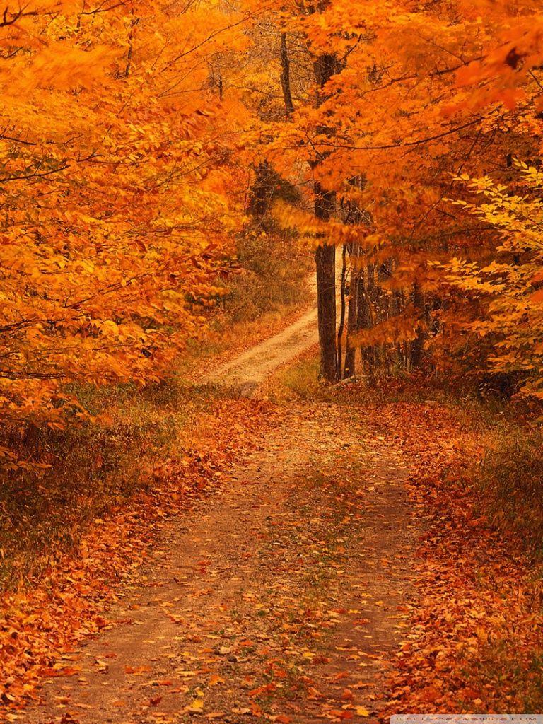 Connecticut Wallpapers - Top Free Connecticut Backgrounds - WallpaperAccess