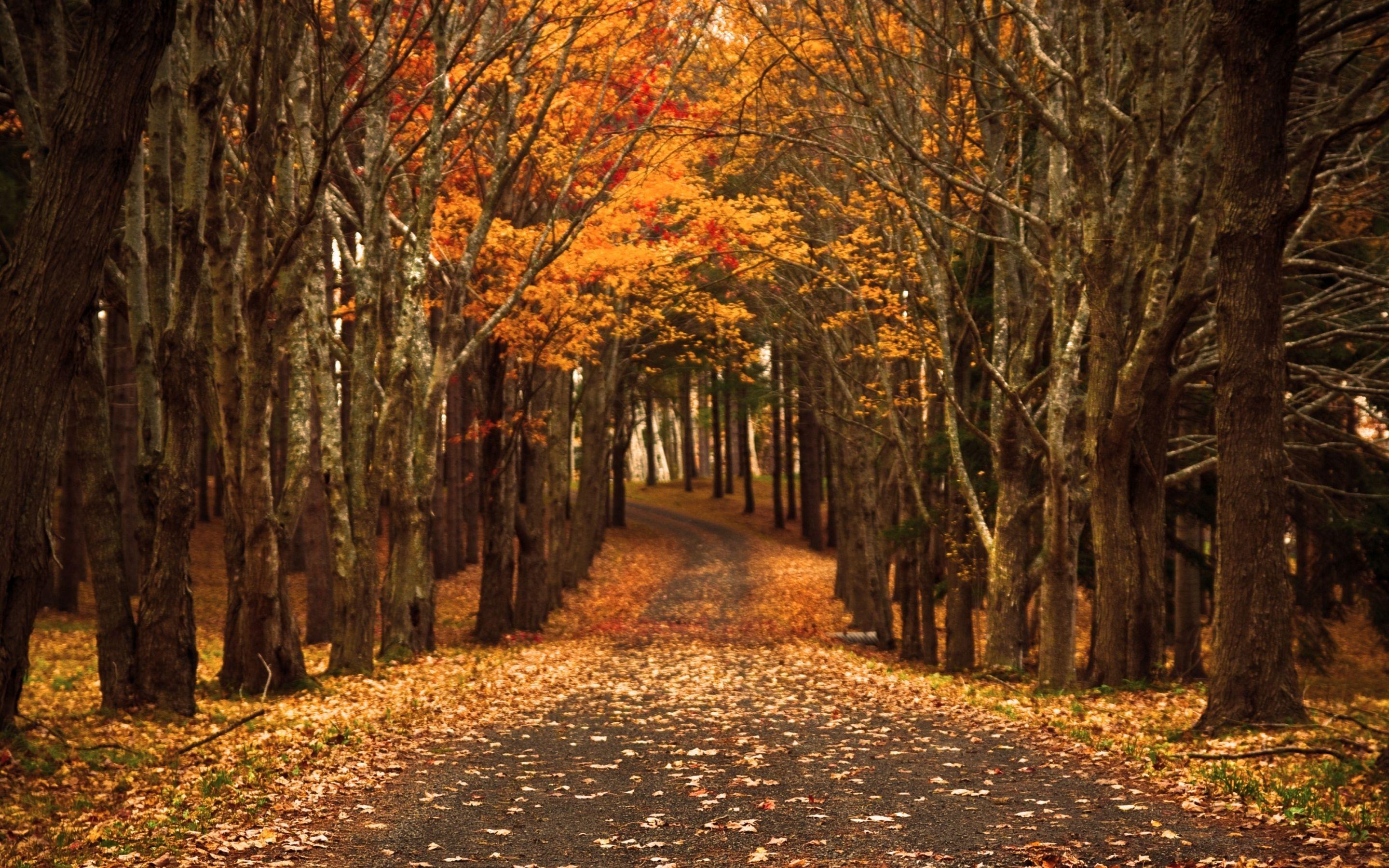 Connecticut Wallpapers - Top Free Connecticut Backgrounds - WallpaperAccess