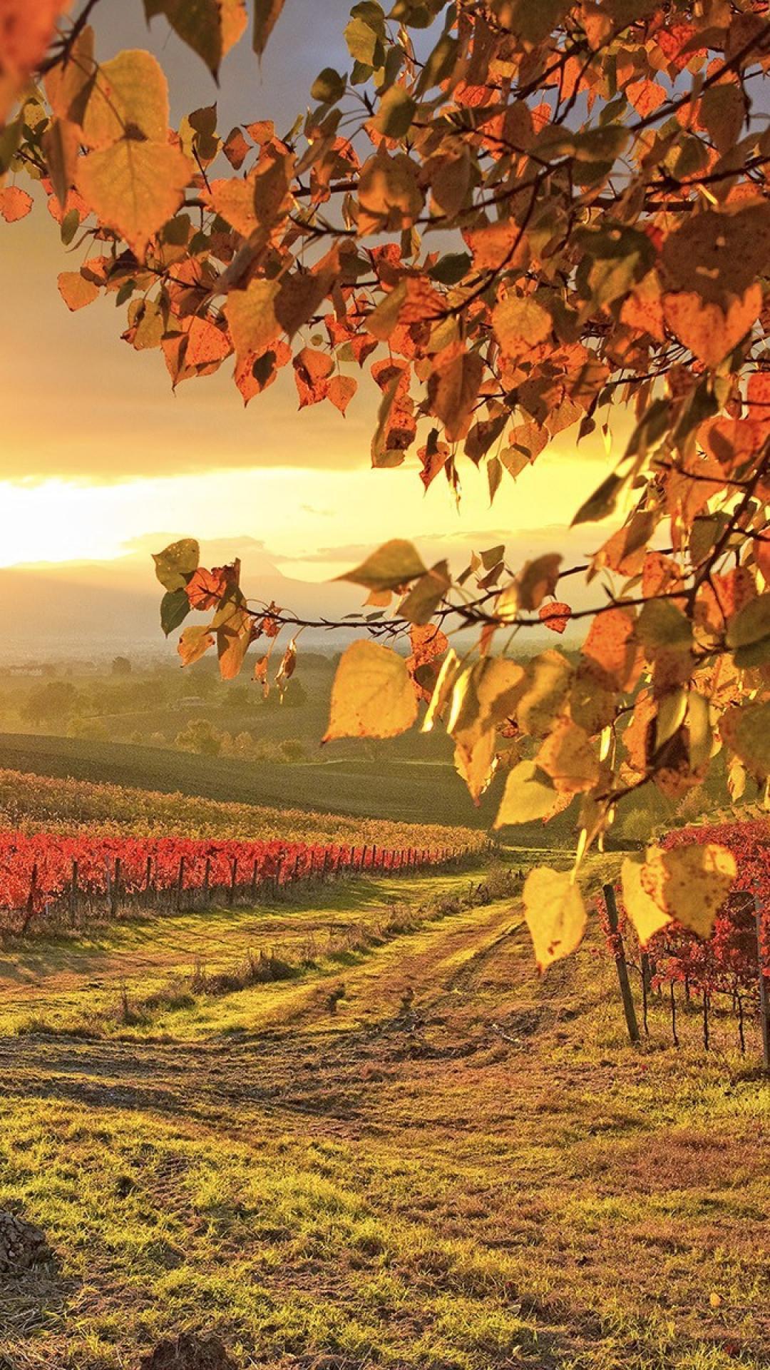 Connecticut Wallpapers - Top Free Connecticut Backgrounds - WallpaperAccess