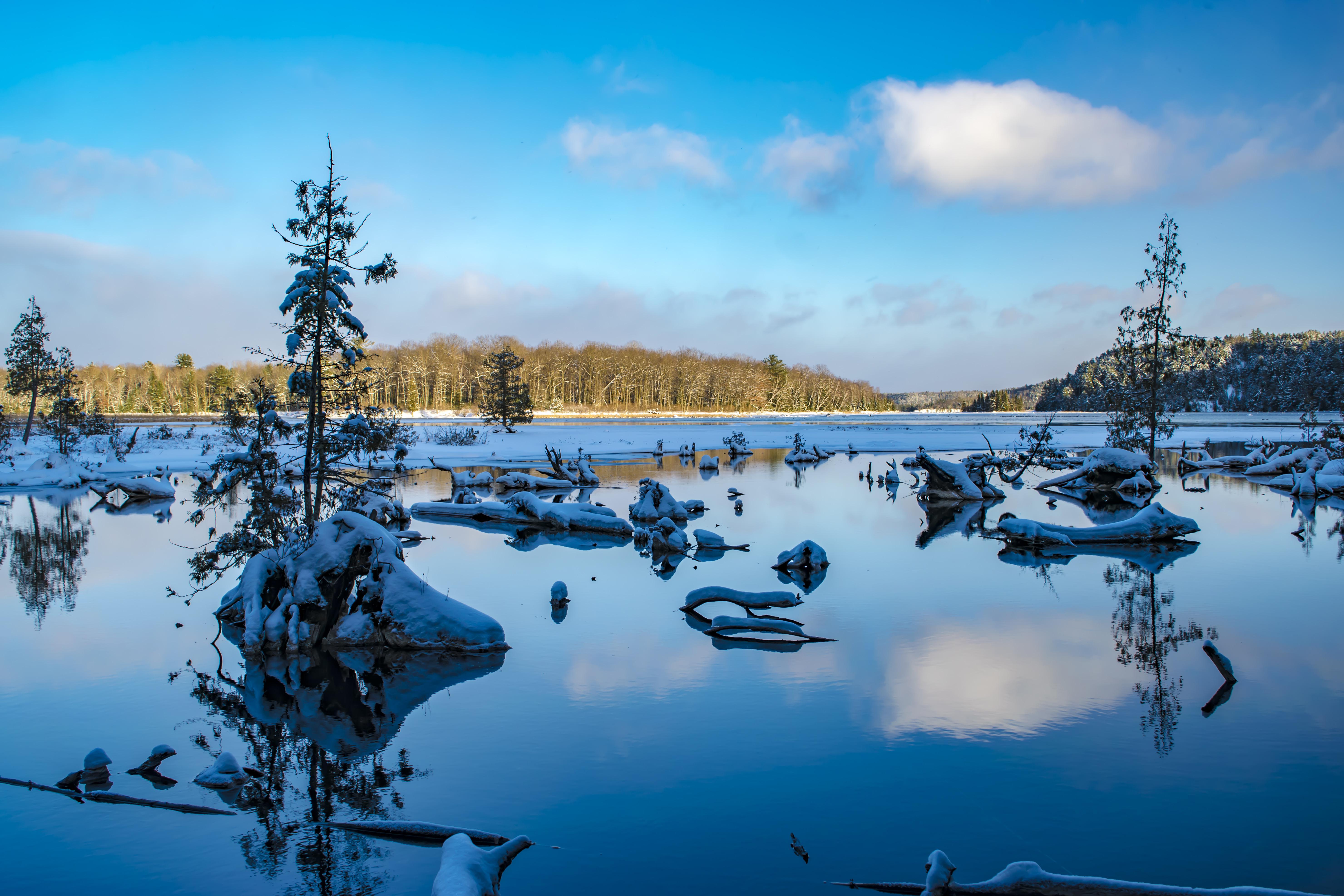 Reflective Wallpapers - Top Free Reflective Backgrounds - WallpaperAccess