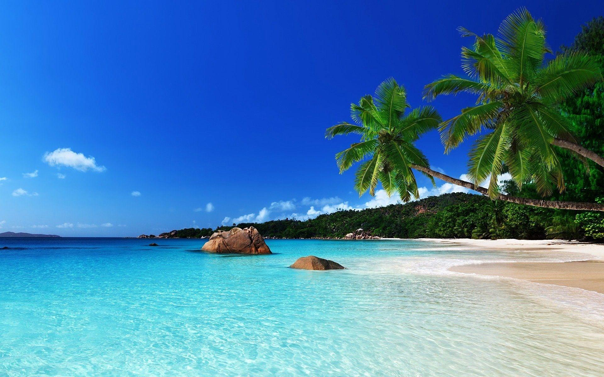 Wild Beach Wallpapers - Top Free Wild Beach Backgrounds - WallpaperAccess
