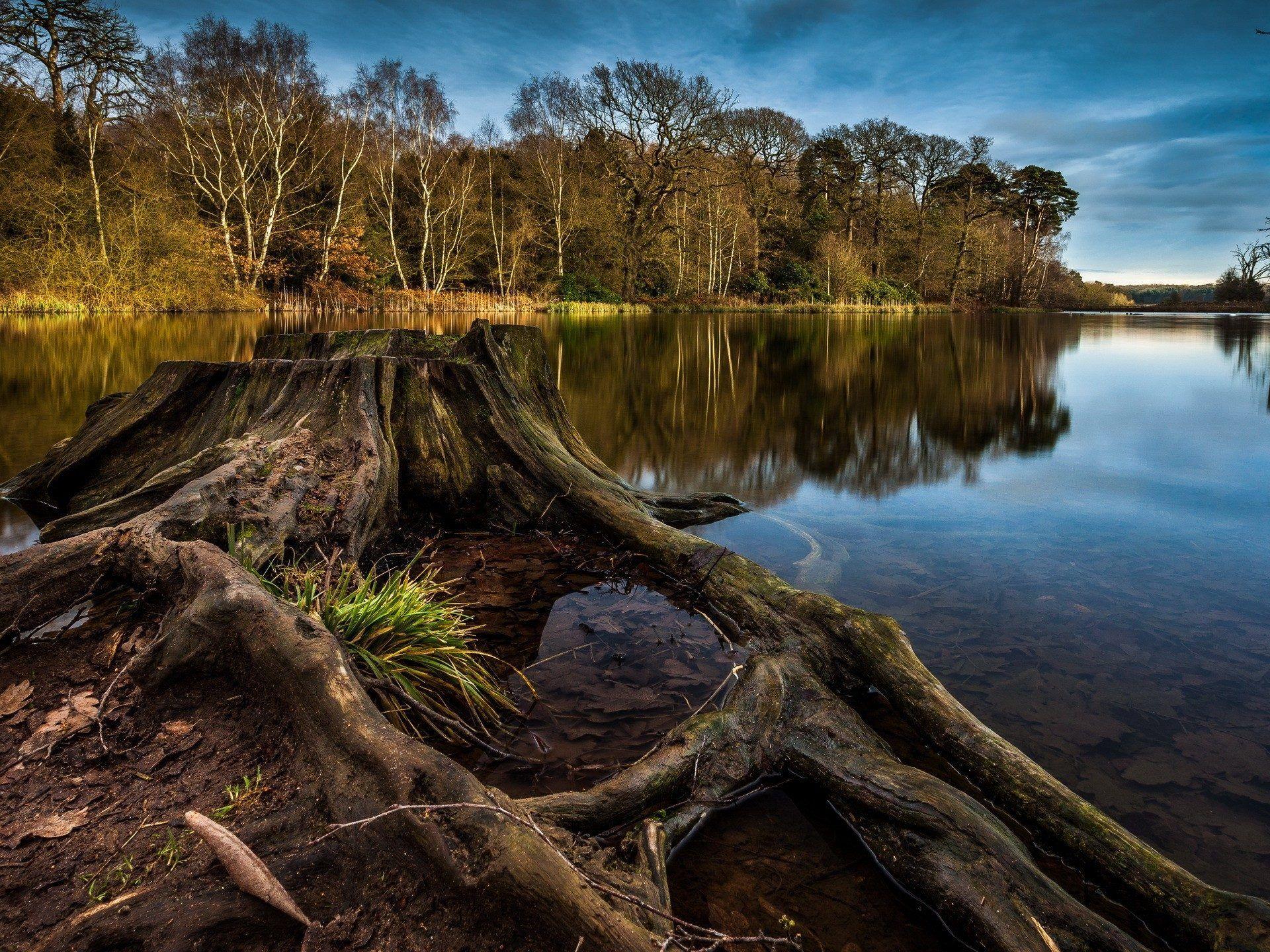 Reflective Wallpapers - Top Free Reflective Backgrounds - WallpaperAccess