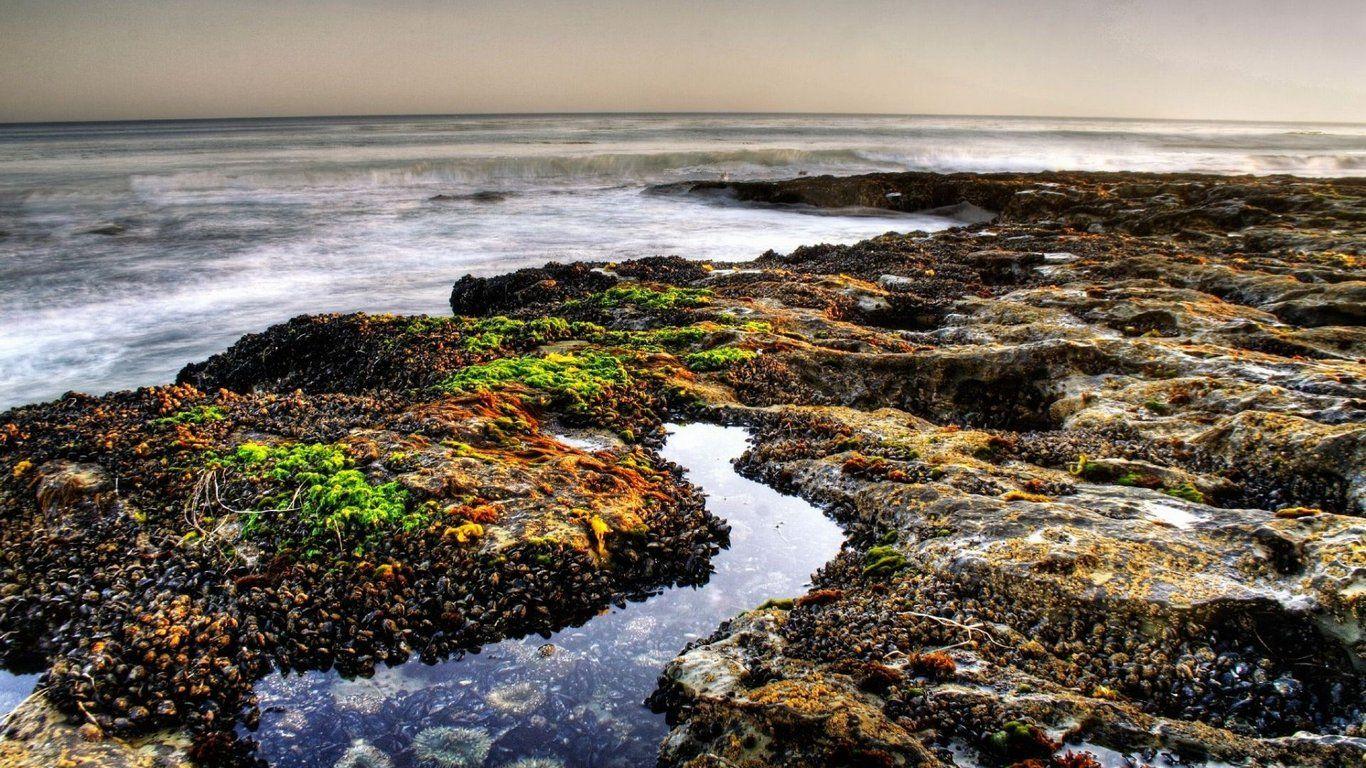Wild Beach Wallpapers - Top Free Wild Beach Backgrounds - WallpaperAccess