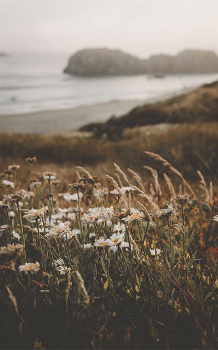 Wild Beach Wallpapers - Top Free Wild Beach Backgrounds - WallpaperAccess