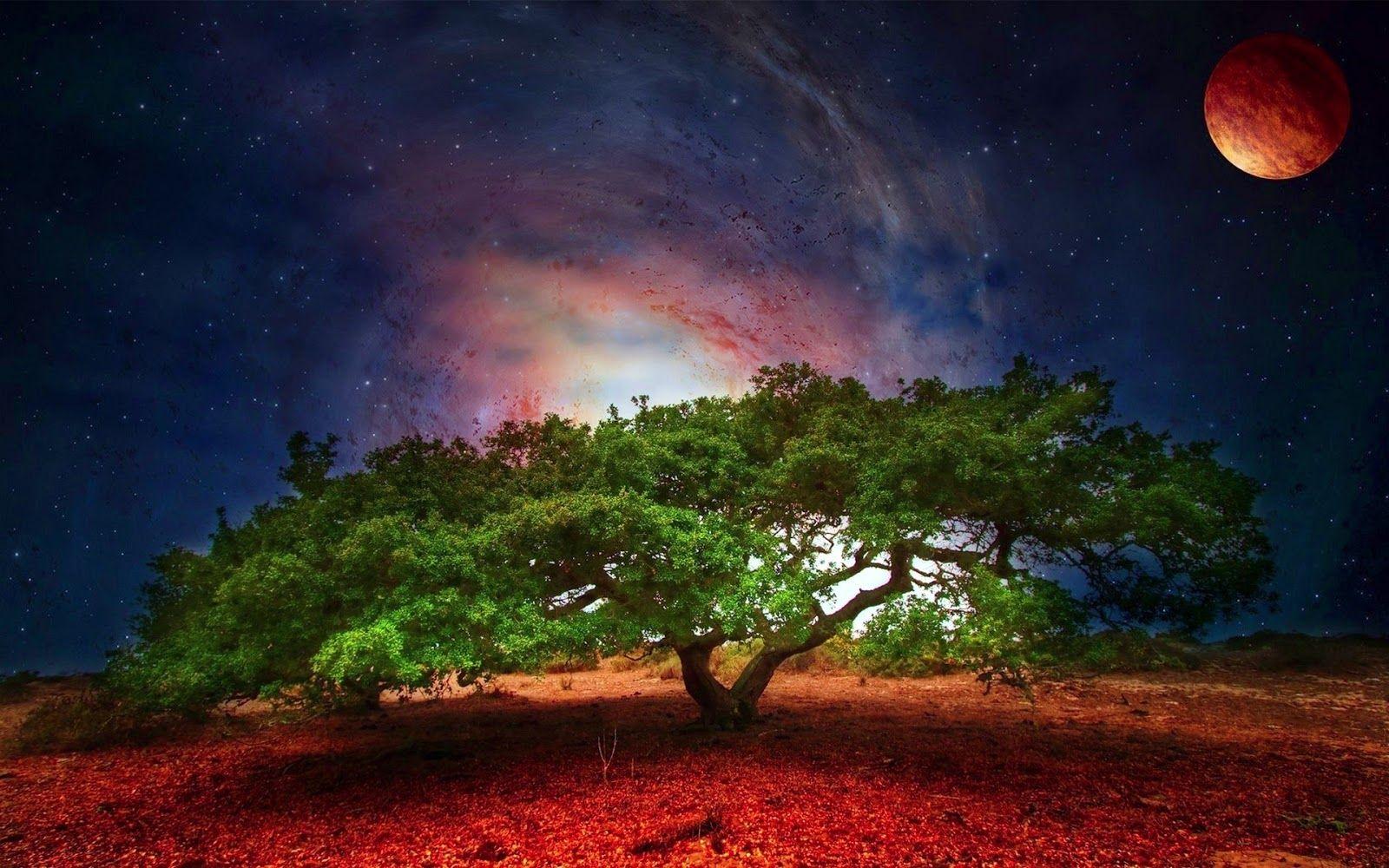 Nature Galaxy Wallpapers - Top Free Nature Galaxy Backgrounds ...