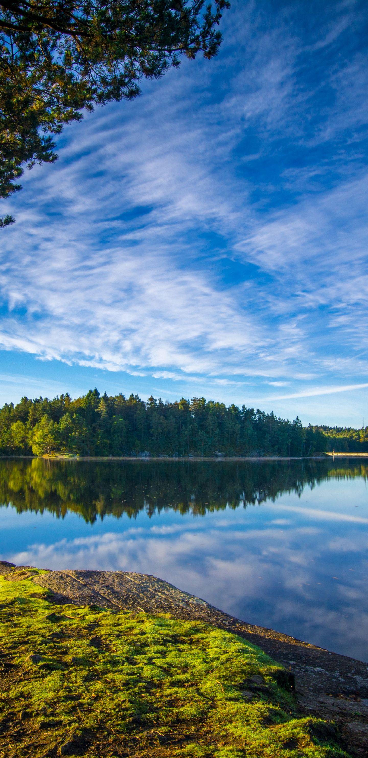 Sunny Nature Wallpapers - Top Free Sunny Nature Backgrounds ...