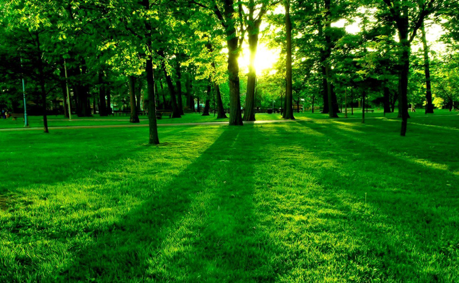 HD Green Landscape Wallpapers - Top Free HD Green Landscape Backgrounds ...
