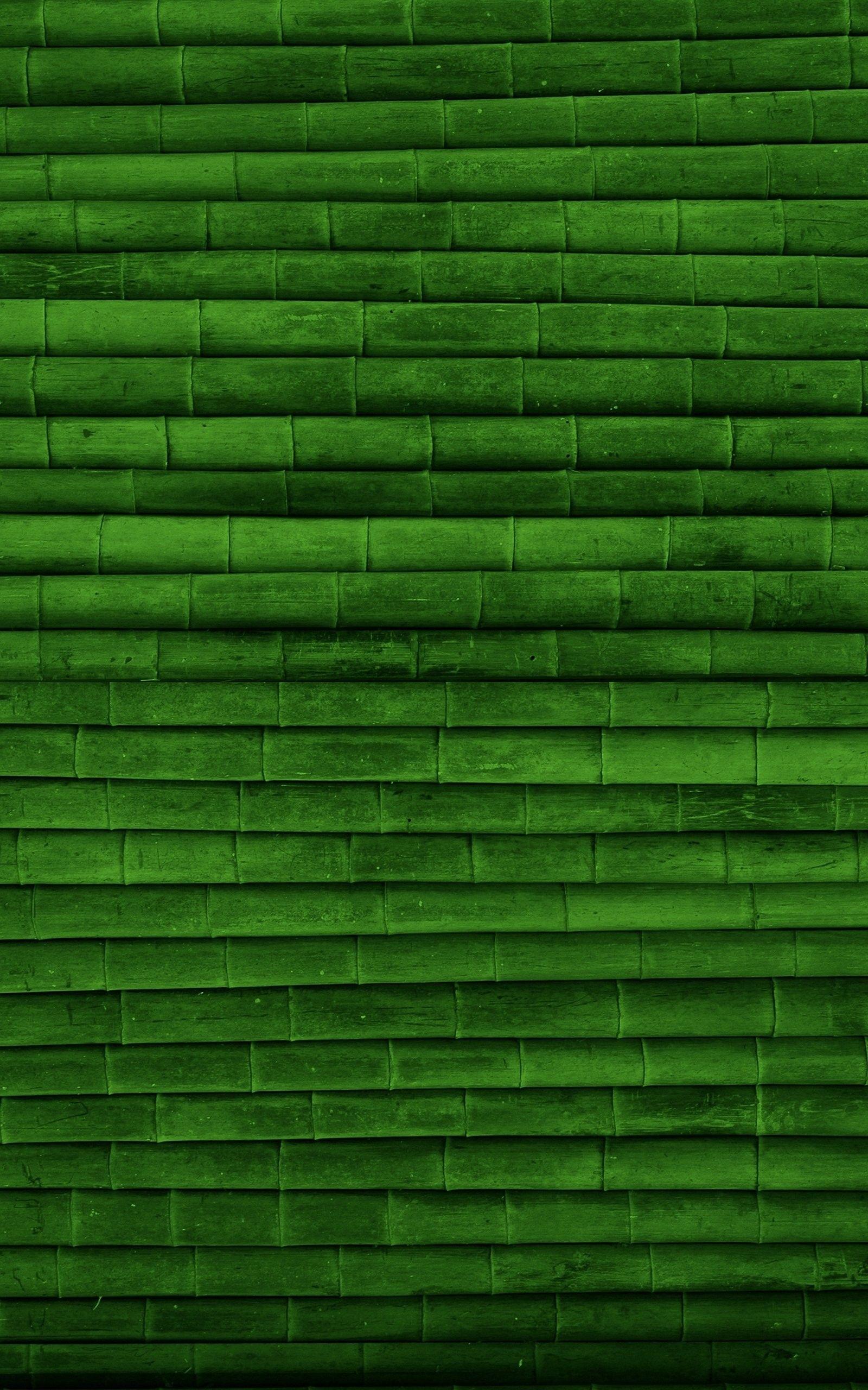 Green Color Wallpapers - Top Free Green Color Backgrounds - WallpaperAccess