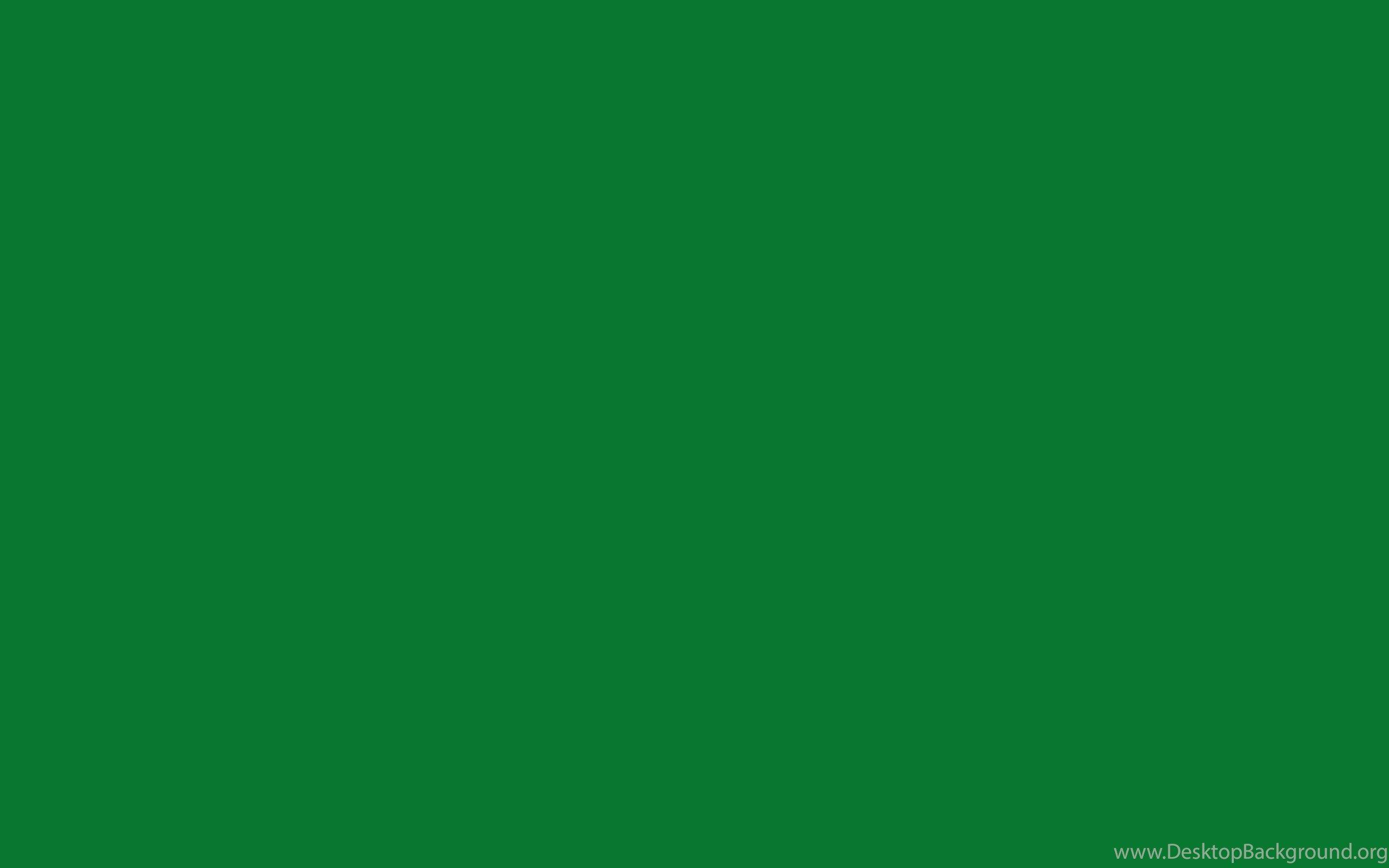 Green Color Wallpapers - Top Free Green Color Backgrounds - WallpaperAccess