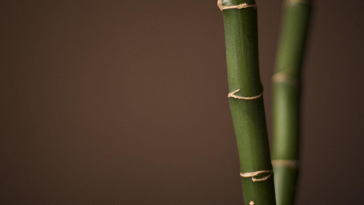 Simple Tablet Wallpapers - Top Free Simple Tablet Backgrounds ...