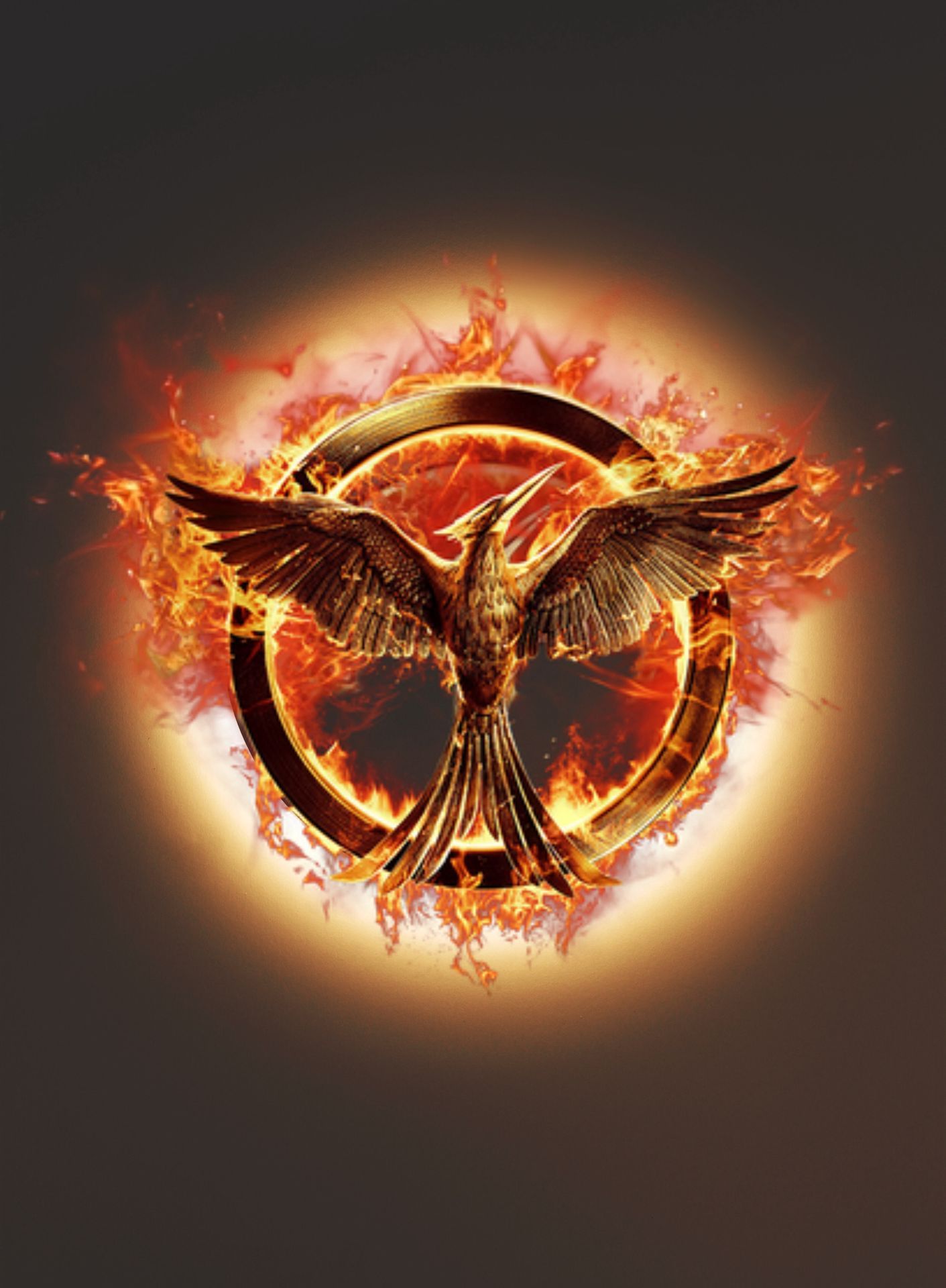 Tribute Von Panem Wallpapers - Top Free Tribute Von Panem Backgrounds ...