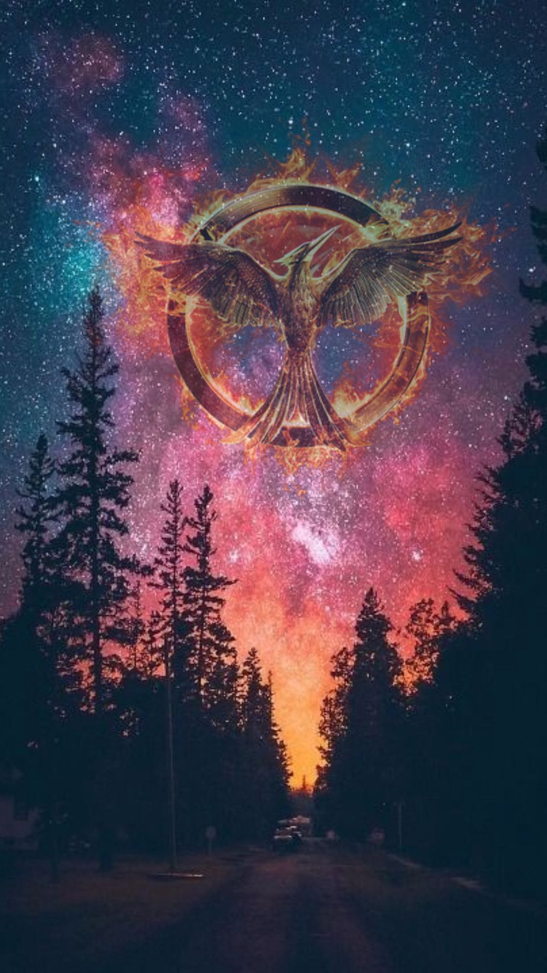 Tribute Von Panem Wallpapers - Top Free Tribute Von Panem Backgrounds ...