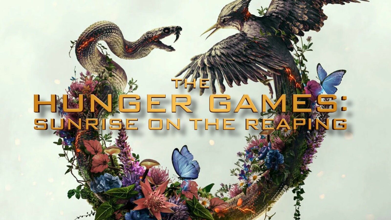 Tribute Von Panem Wallpapers - Top Free Tribute Von Panem Backgrounds ...