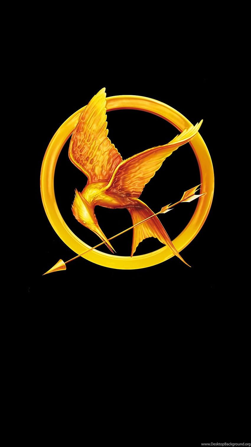 Tribute Von Panem Wallpapers - Top Free Tribute Von Panem Backgrounds ...