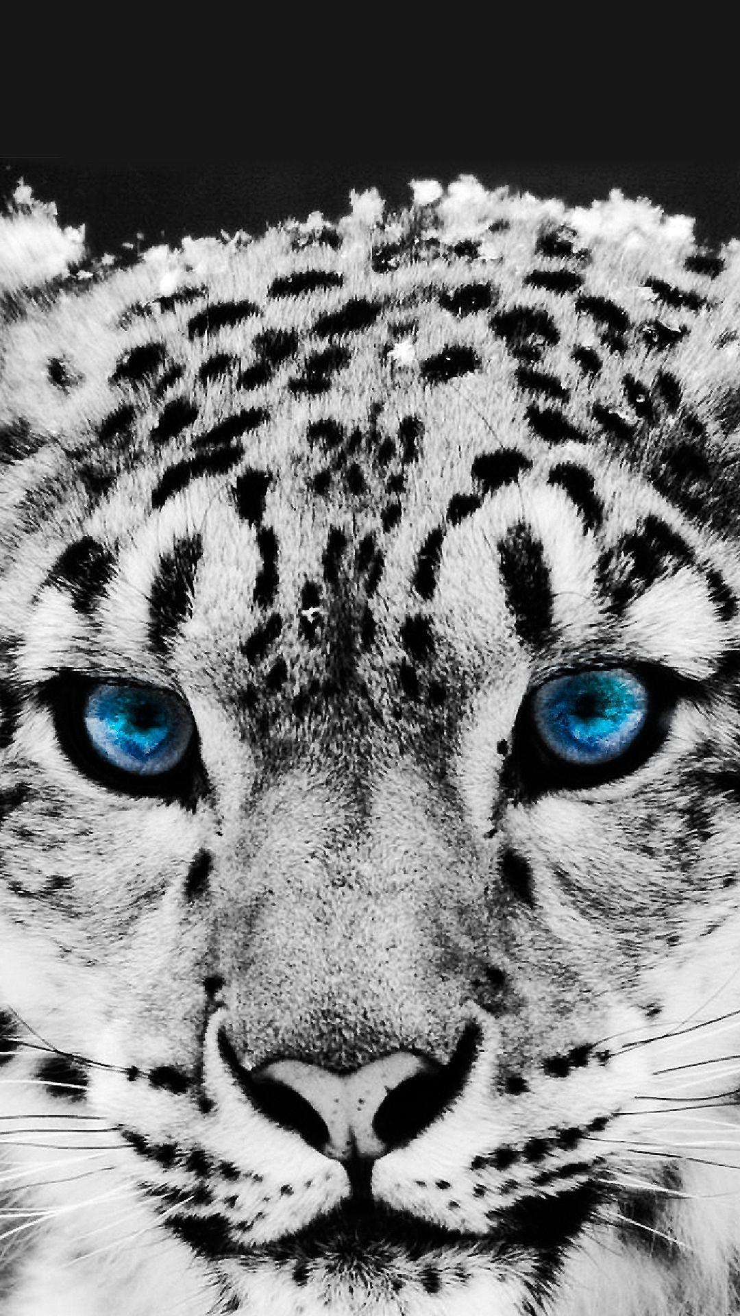 Snow Leopard iPhone 6 Wallpapers - Top Free Snow Leopard iPhone 6 ...