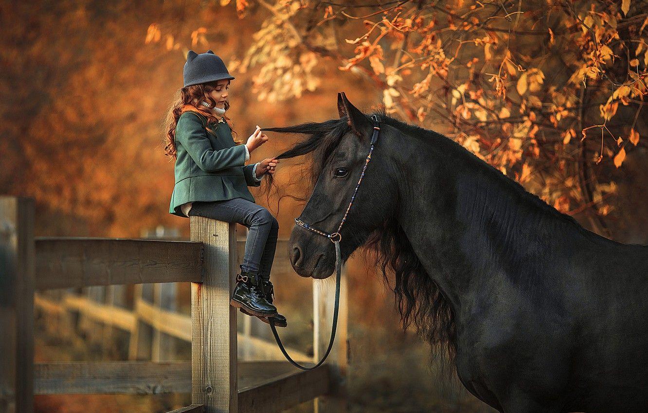 Autumn Horse Wallpapers - Top Free Autumn Horse Backgrounds ...